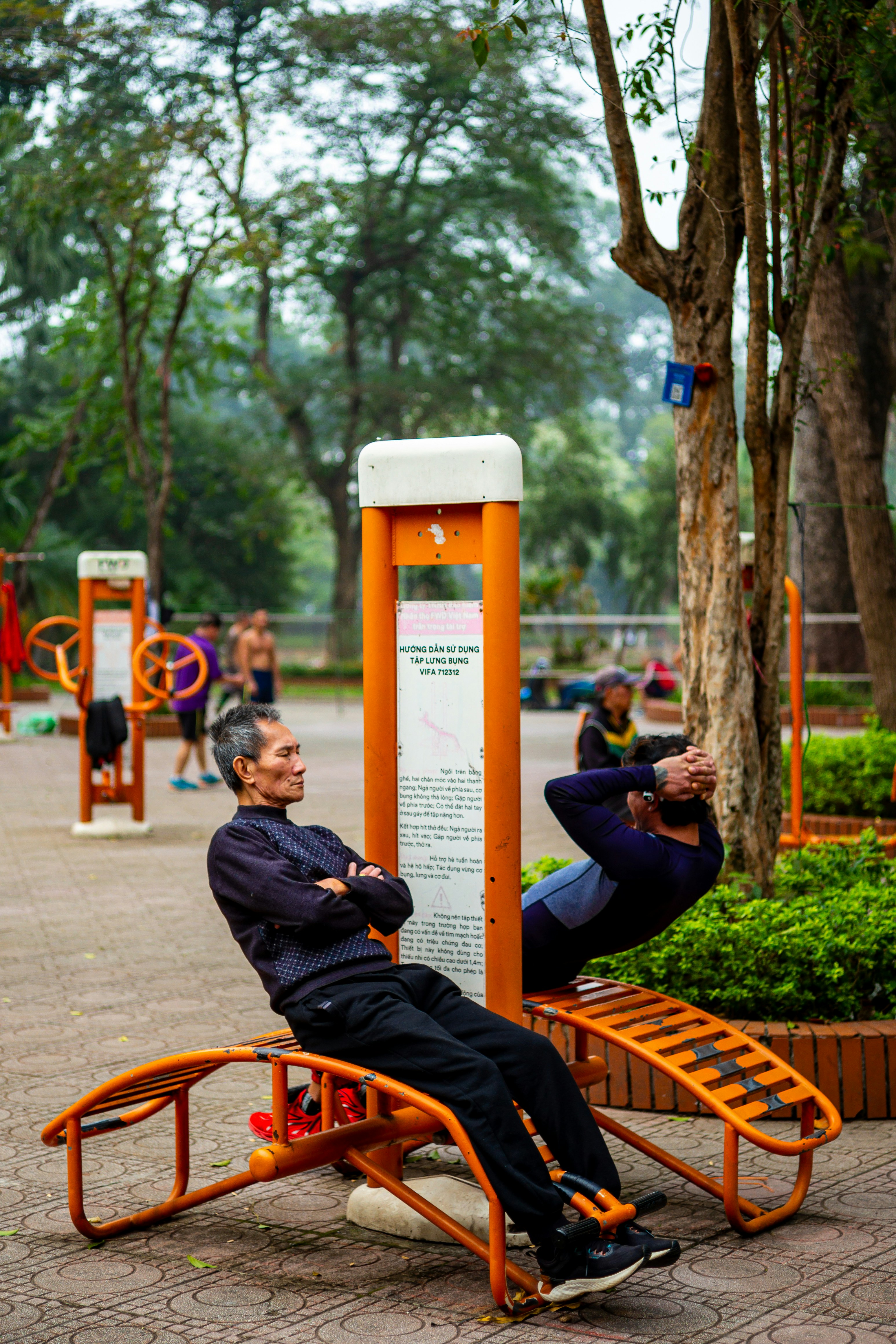 Older Gentleman and Contorted Yoga Bench in a Sunlit Park