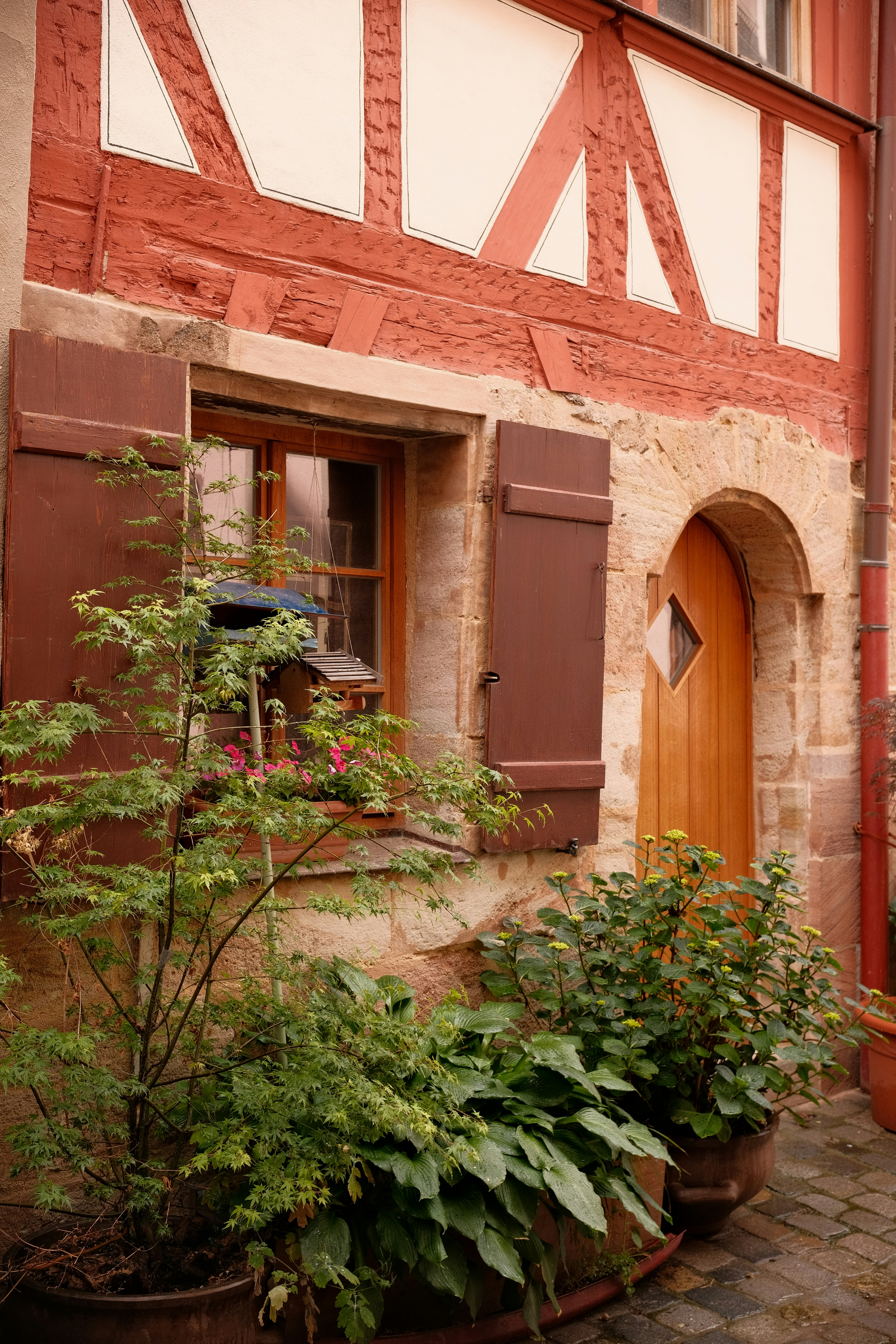 Charming half-timbered house with a wooden door and lush green plants in the foreground. The warm tones of the building contrast beautifully with the vibrant foliage.