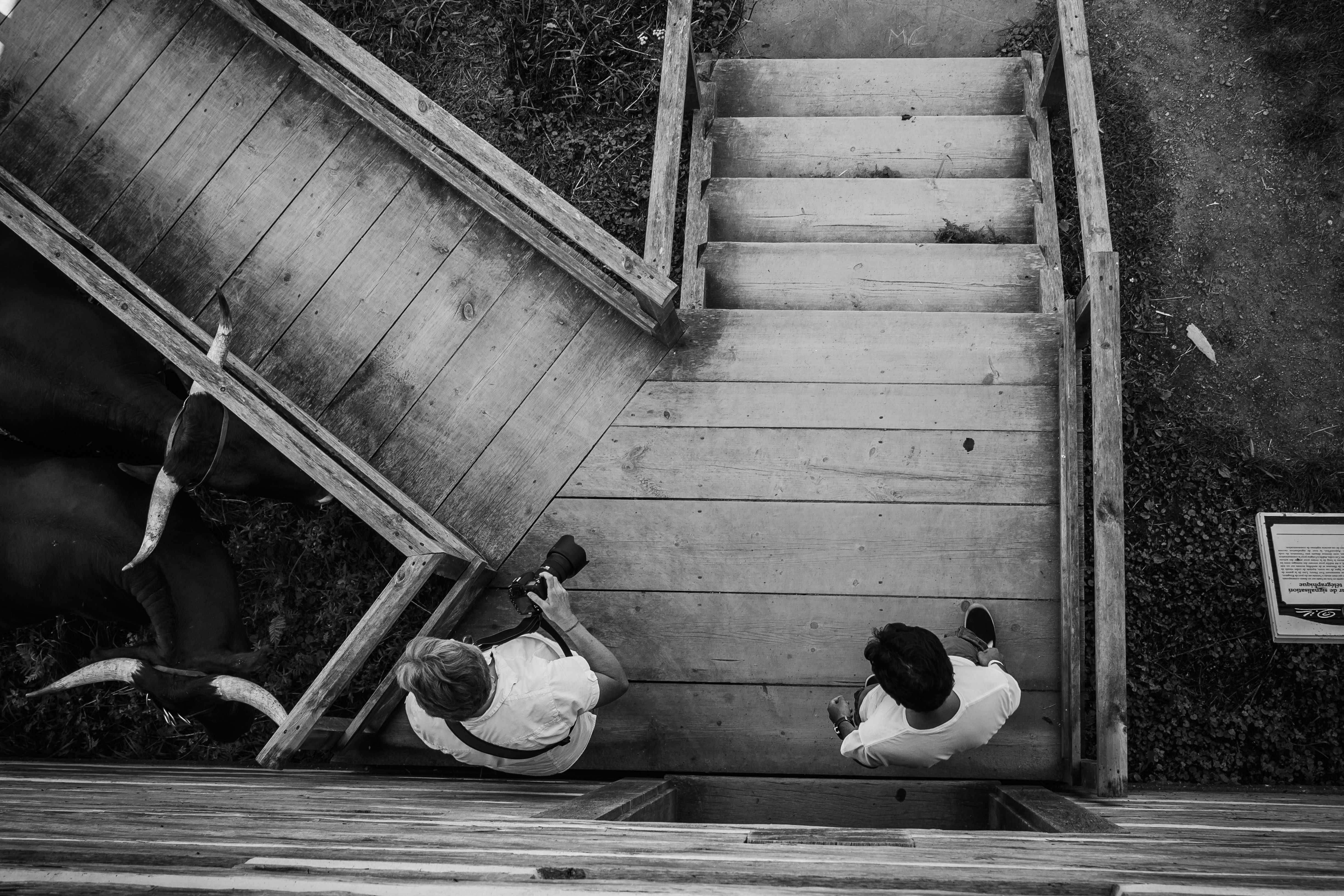 People stand near stairs and a wooden slide.