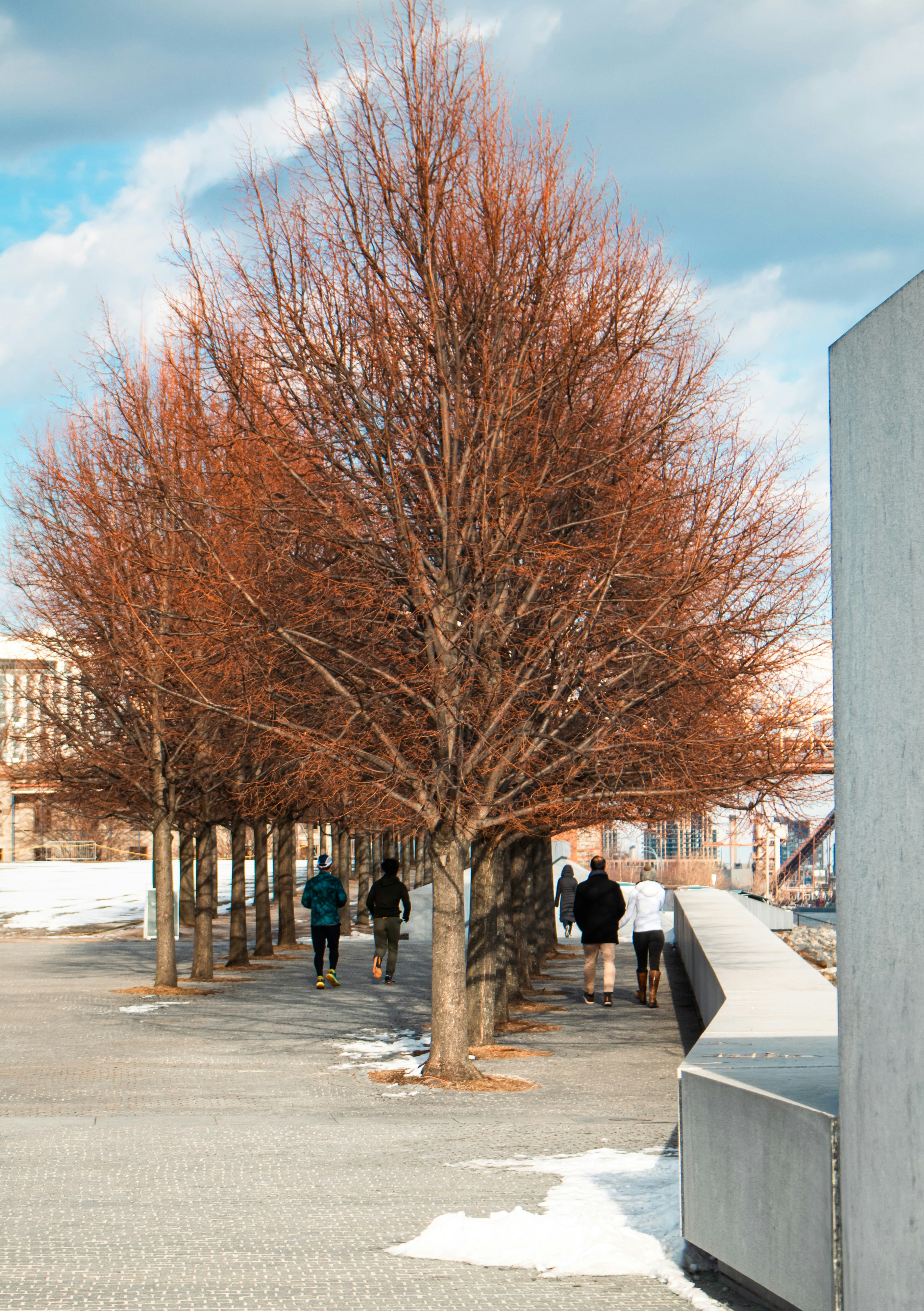 A tranquil winter scene at Franklin D. Roosevelt Four Freedoms Park on Roosevelt Island, New York City. The image captures a pathway lined with bare trees, with several people walking along its paved, light-colored surface. Patches of snow lie on the ground, hinting at the cold temperature. In the distance, a city building and a section of a bridge rise into view, blending urban life with natural stillness. The sky above is partly cloudy, casting soft light over the park. | People walk along a pathway with bare trees.