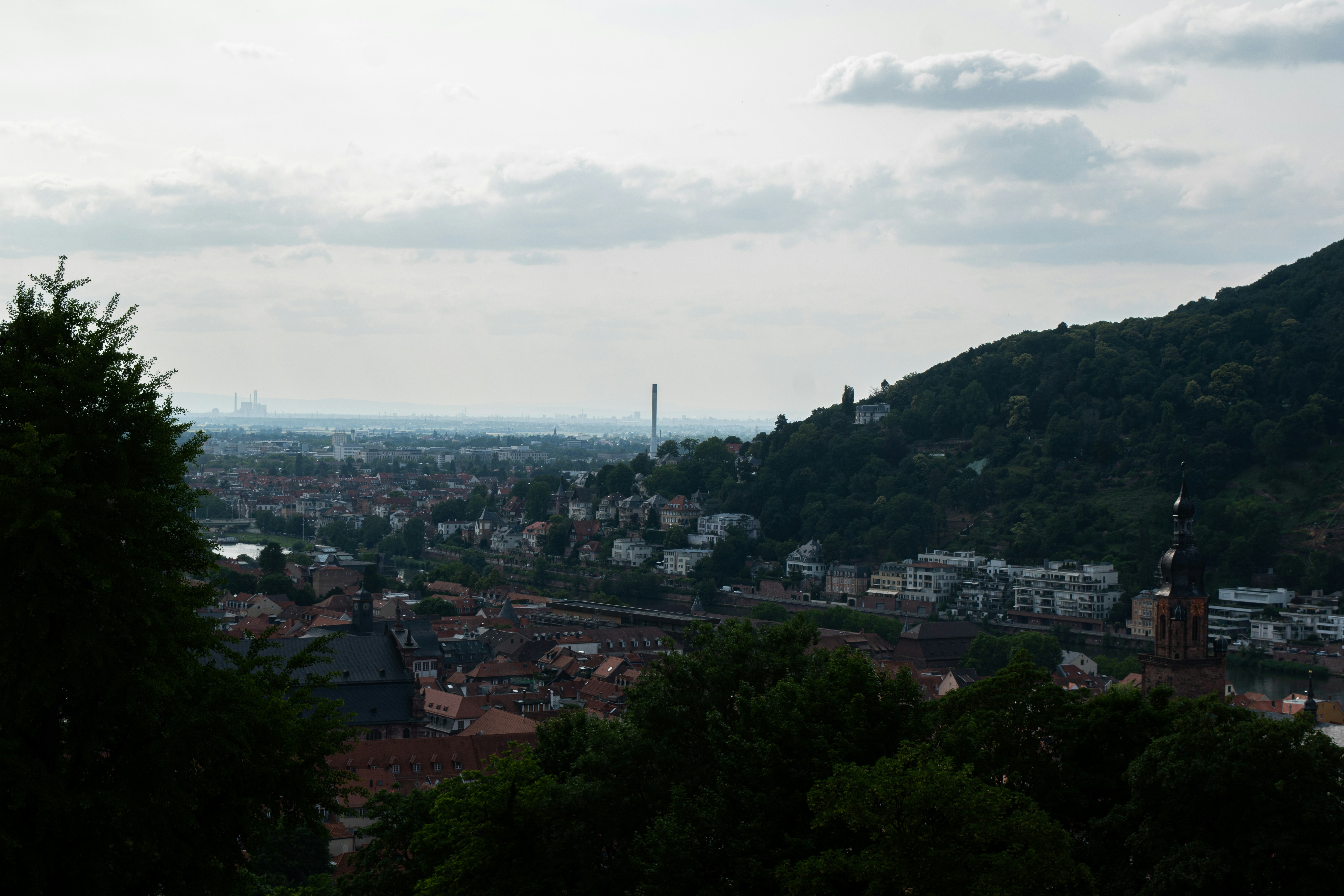 Cityscape viewed from a high, tree-lined vantage point.
