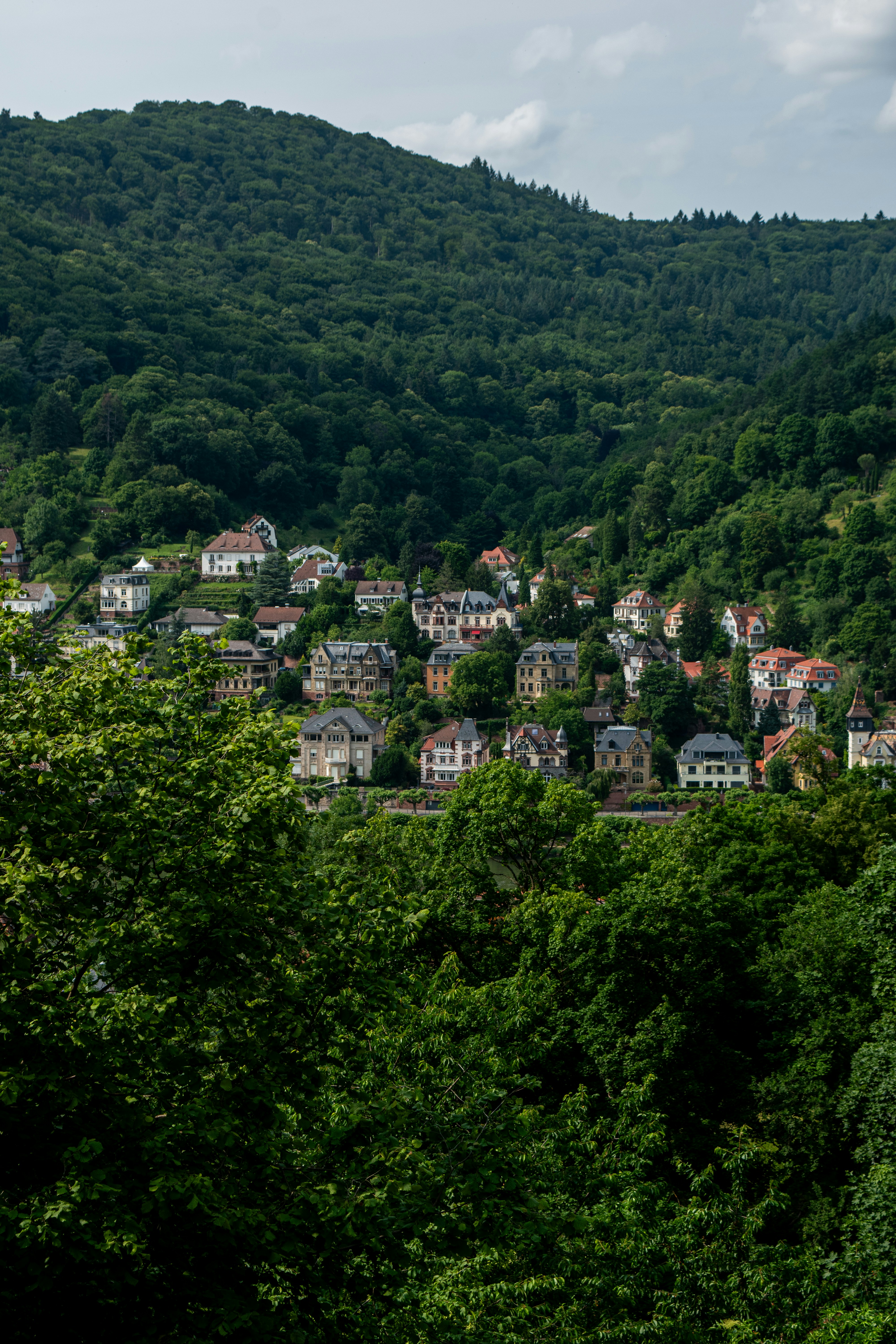 Houses are nestled in a lush, green valley.