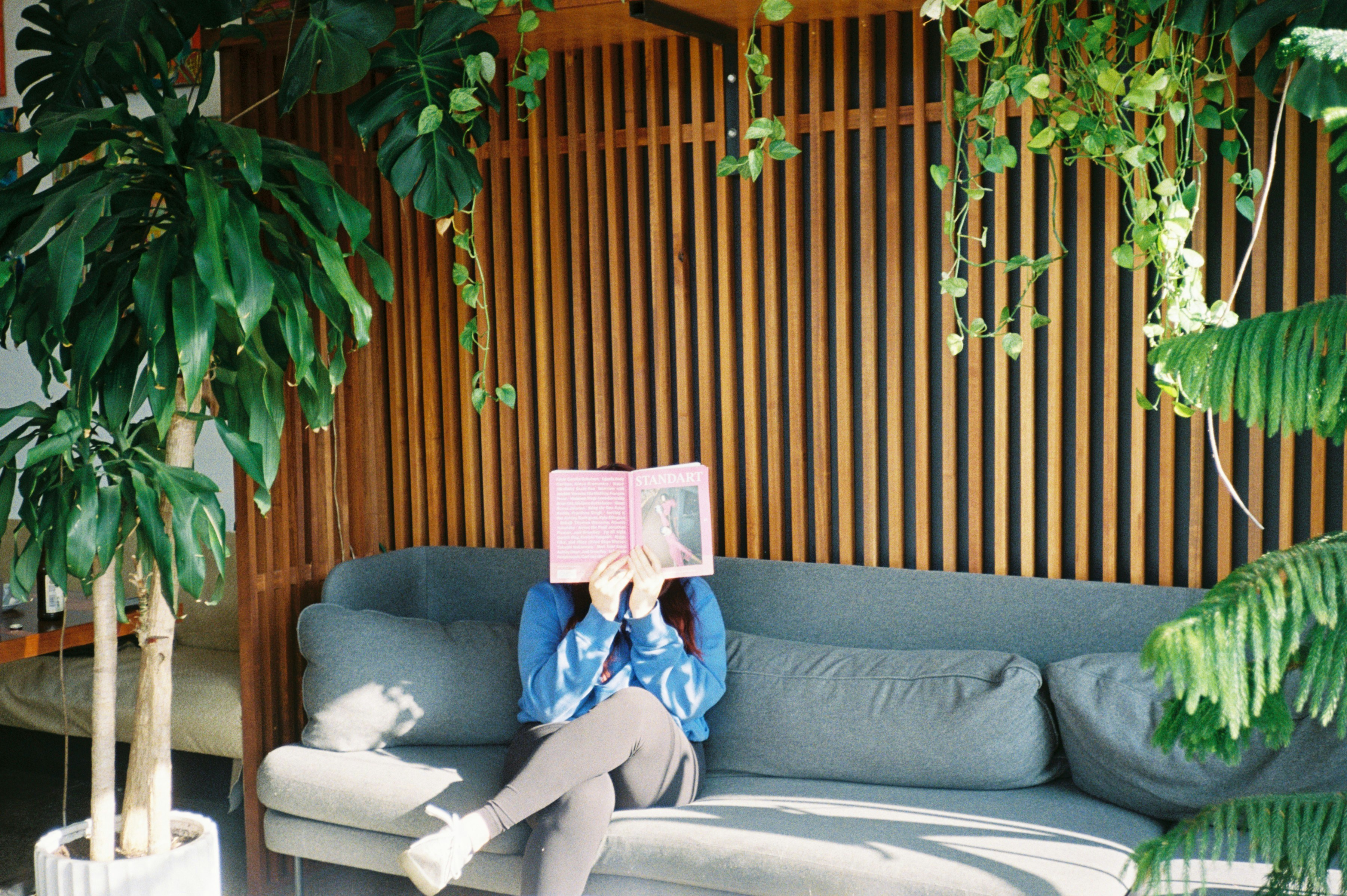 A Cozy Retreat: Embracing Solitude with a Book