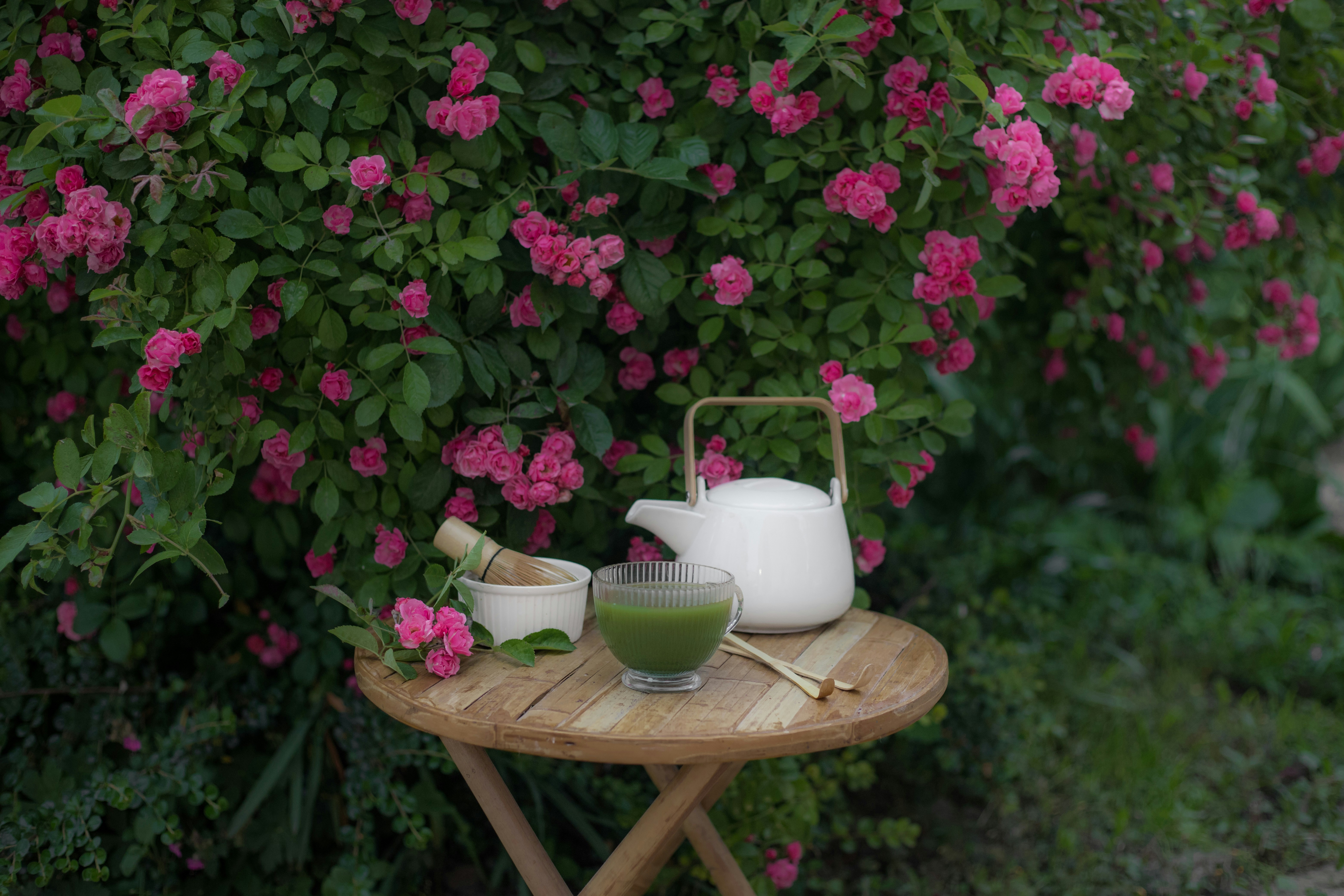 Tea set arranged on a table in front of pink roses. photo – Free Summer ...