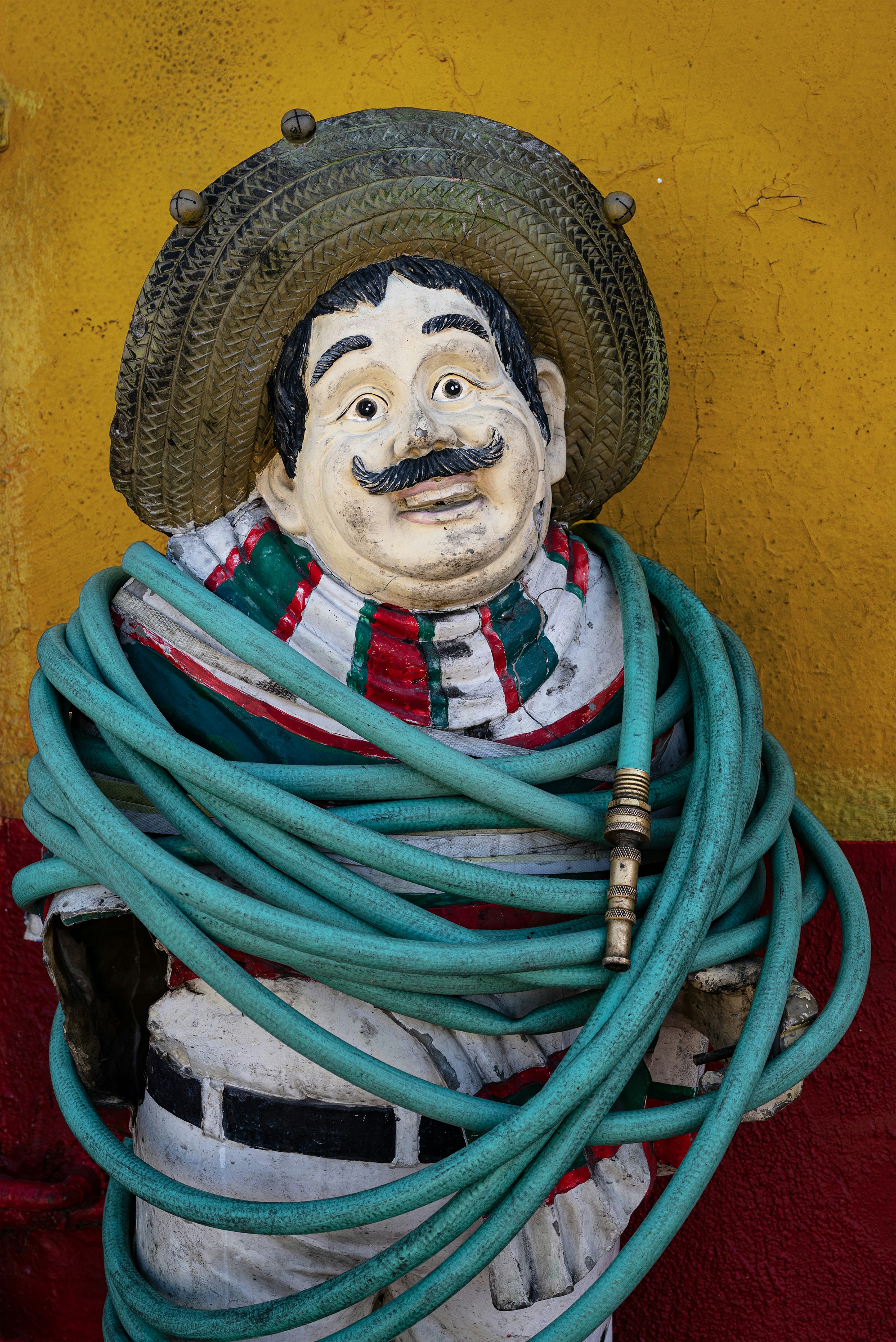 Whimsical Gardener: A Playful Encounter with a Hose