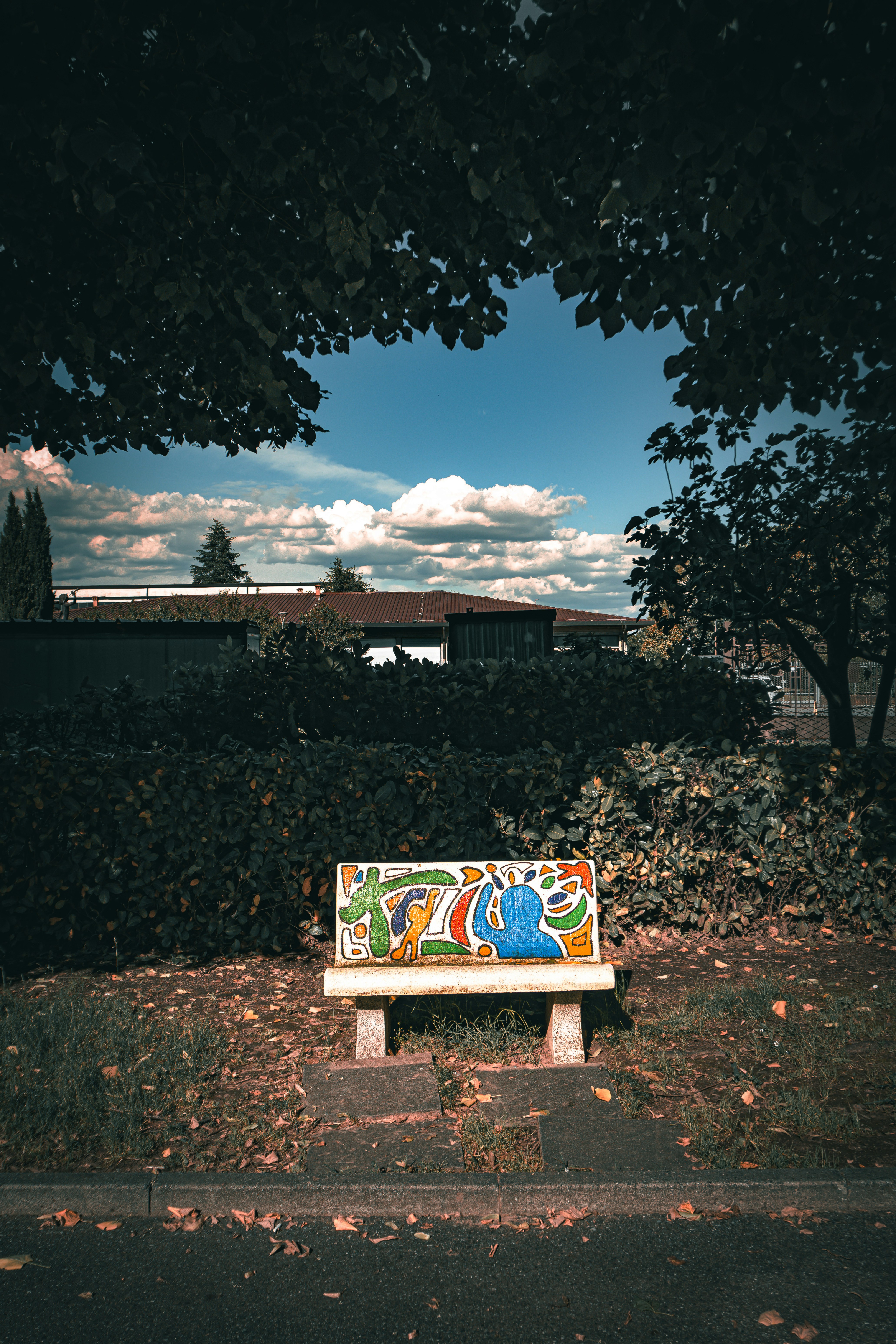 Whimsical Bench Amidst Nature's Embrace