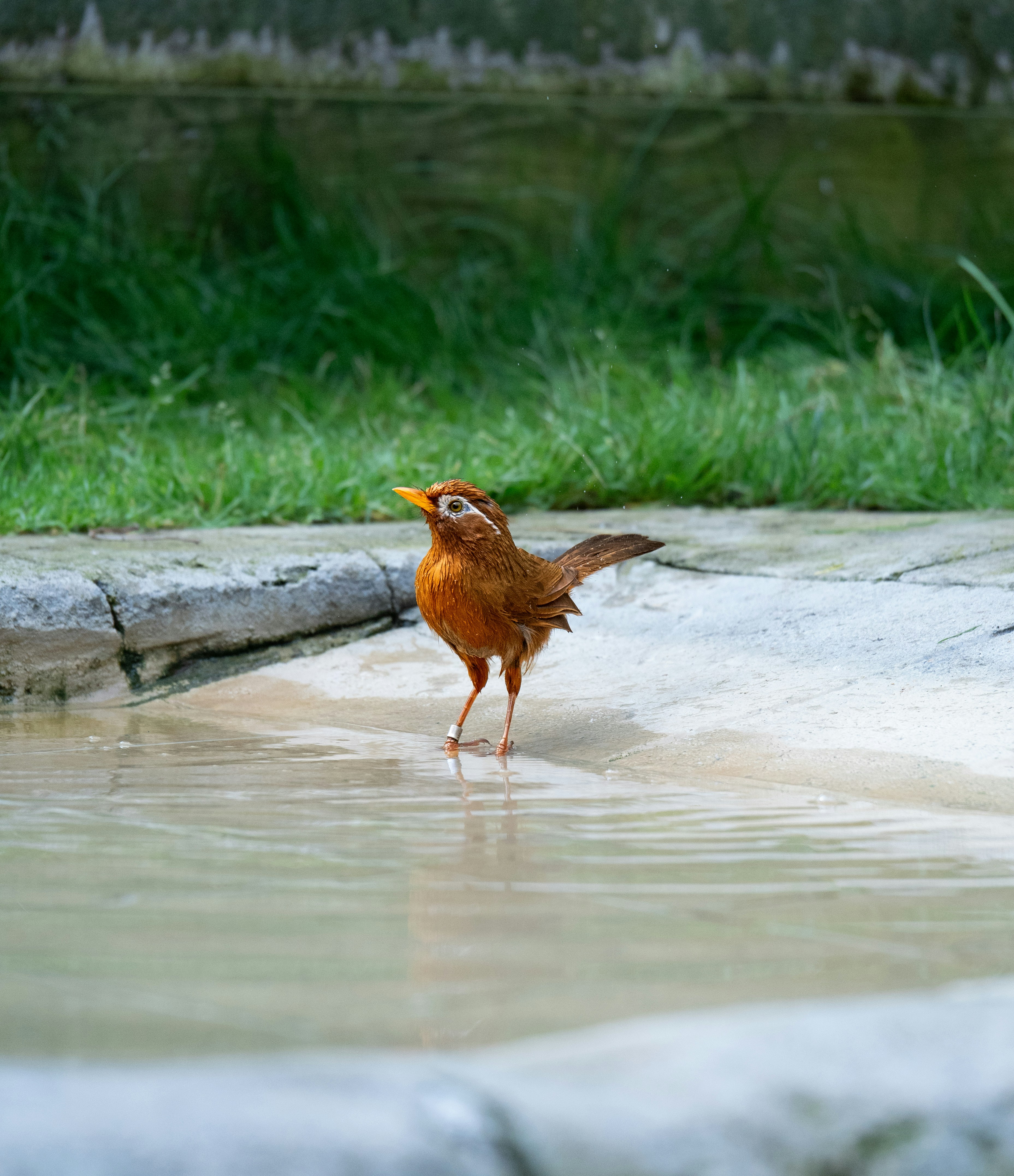 Photo by Idean Azad with Olympus OM-D E-M10 Mark IV