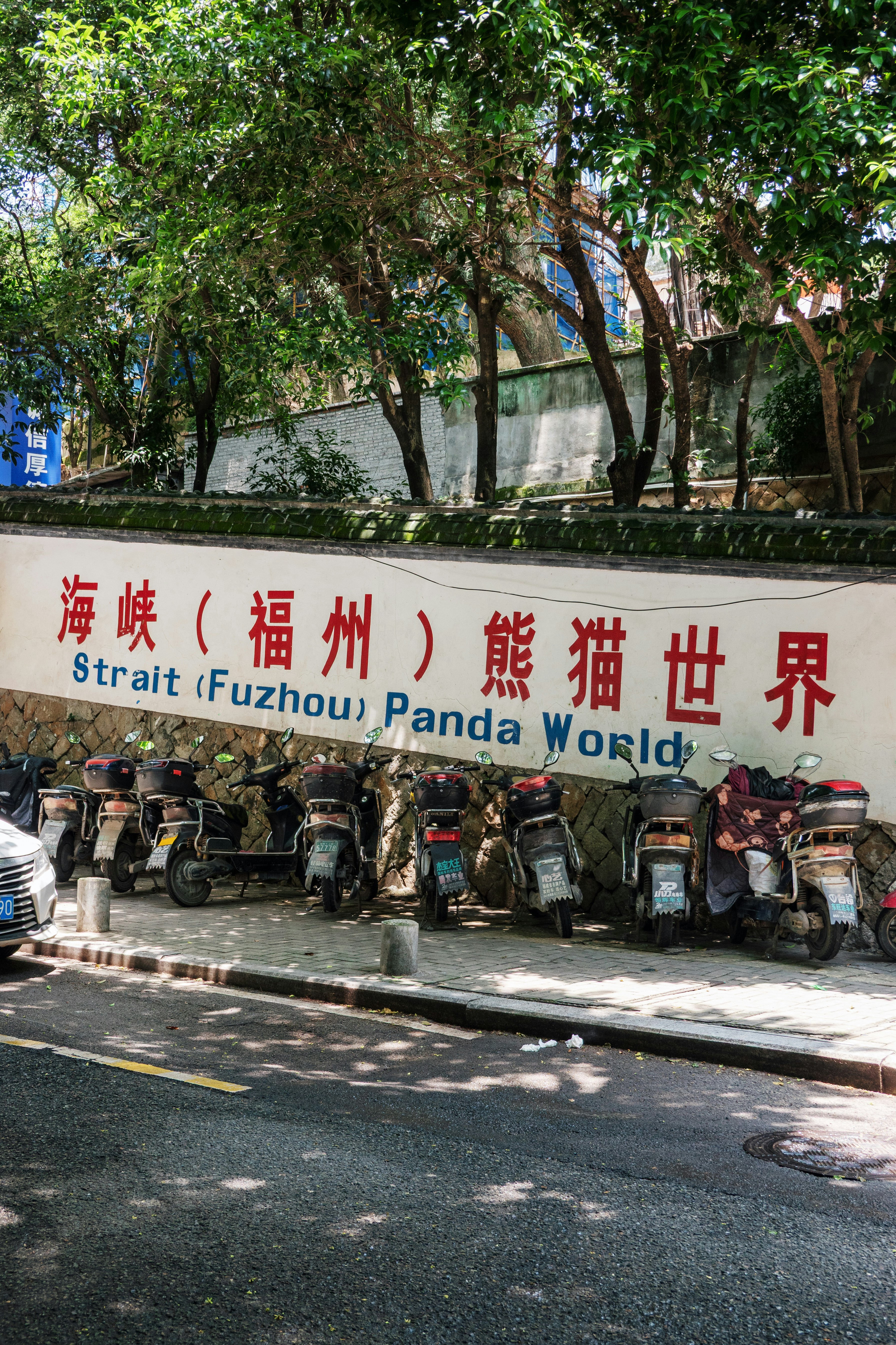 Motorbikes are parked beneath a "panda world" sign. photo – Free Fuzhou ...