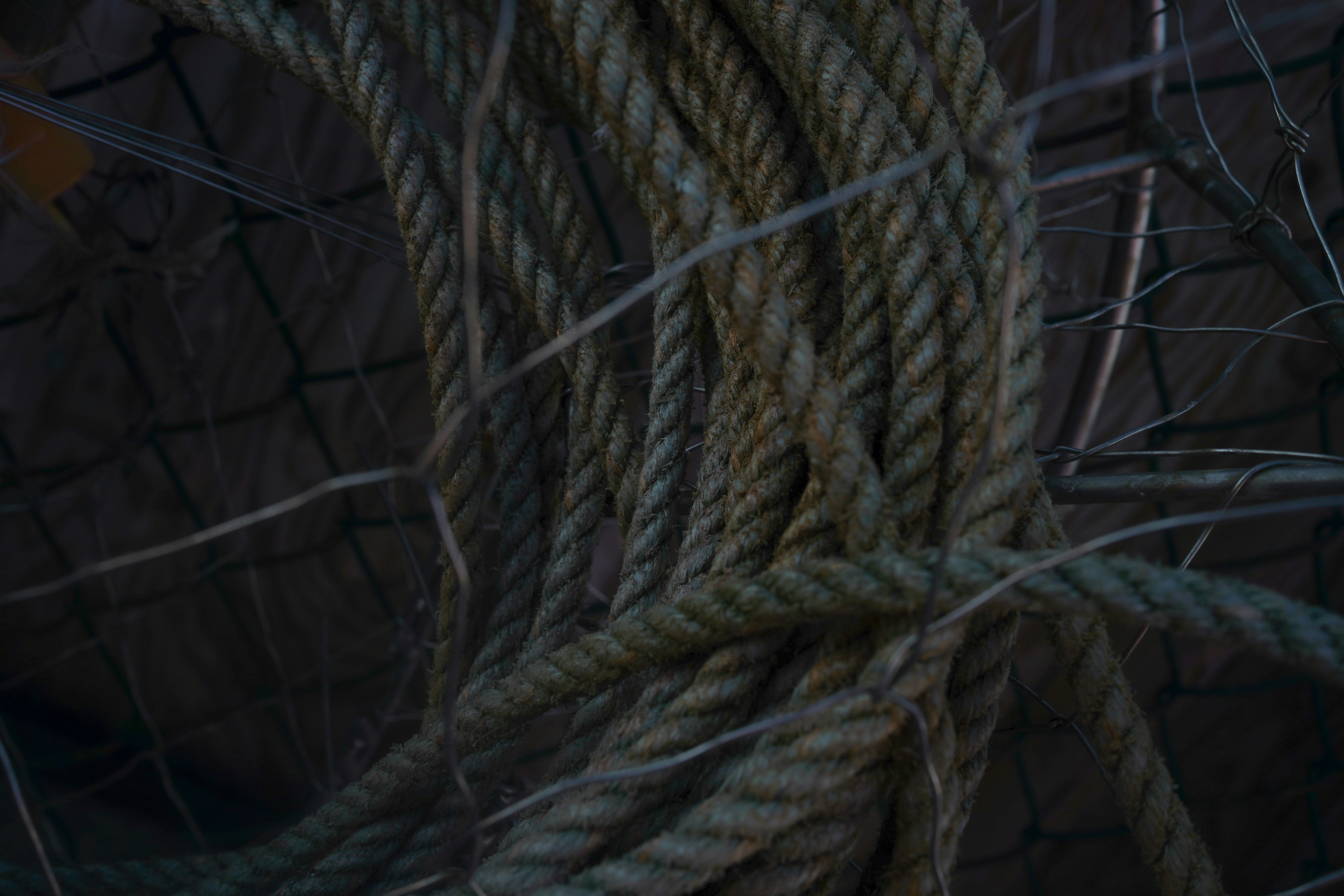 Tangled Threads of Time