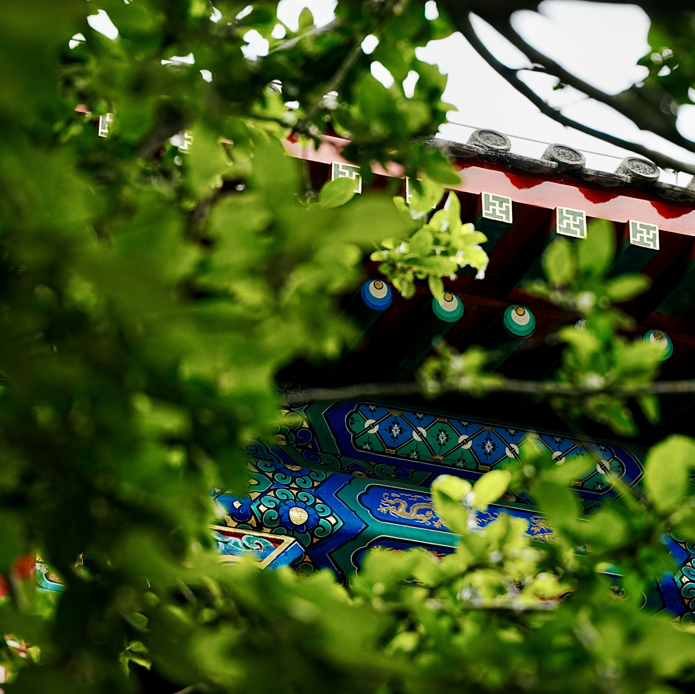 Vibrant Harmony of Nature and Architecture