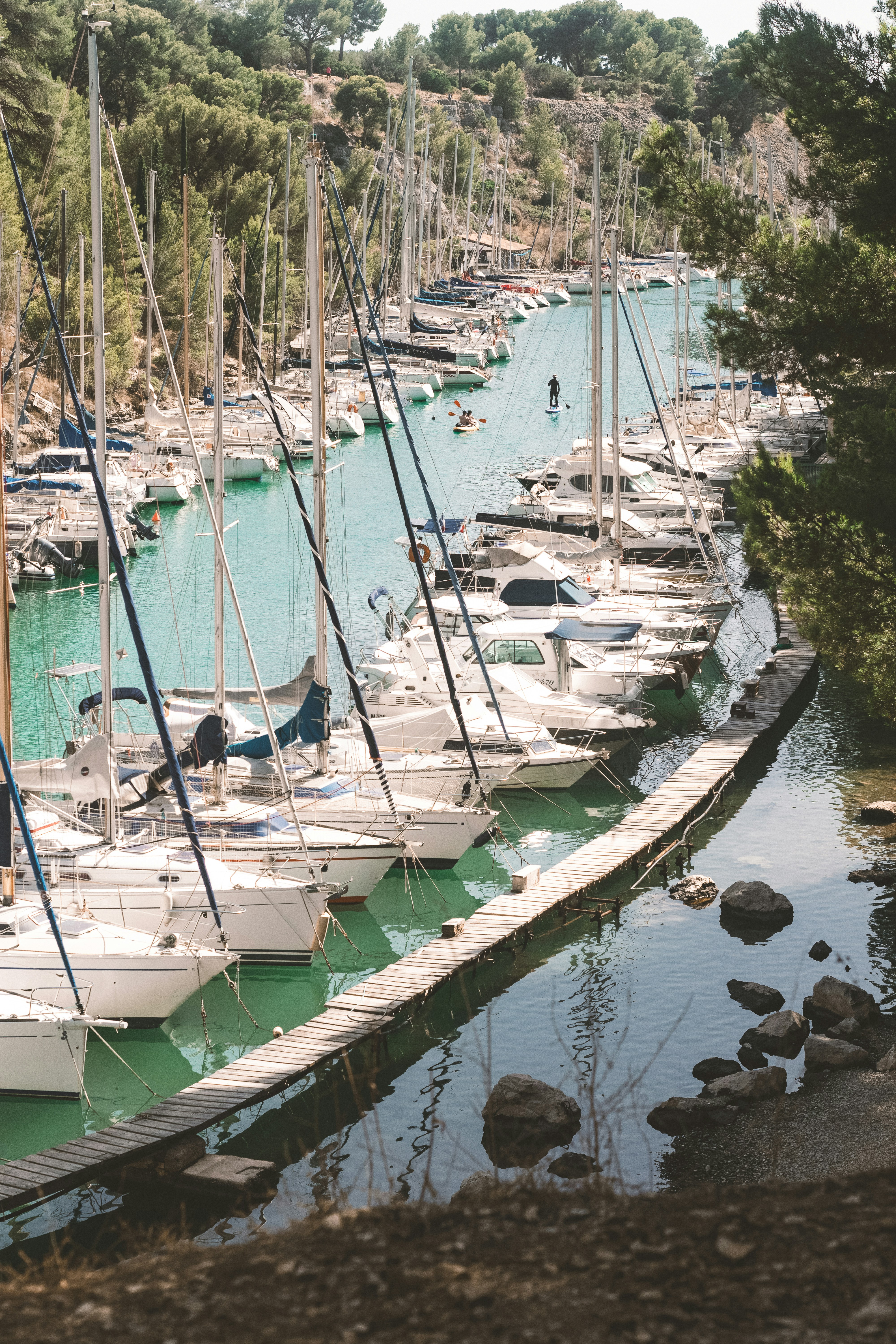 Sailboats docked along a tranquil marina, framed by lush greenery and a calm turquoise waterway. A paddleboarder glides through the serene scene.