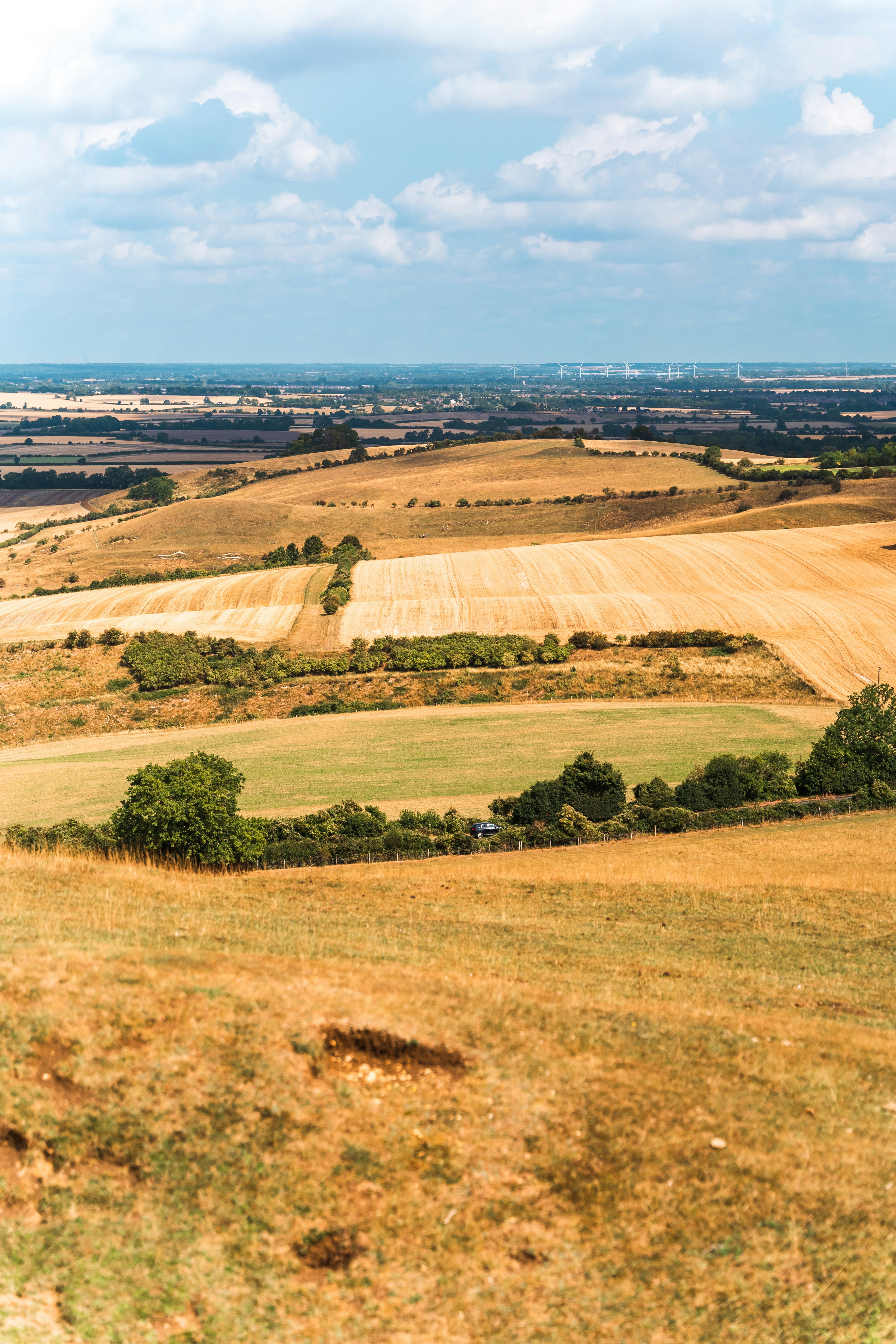 Patchwork farmland creates a living mosaic across the Hertfordshire countryside