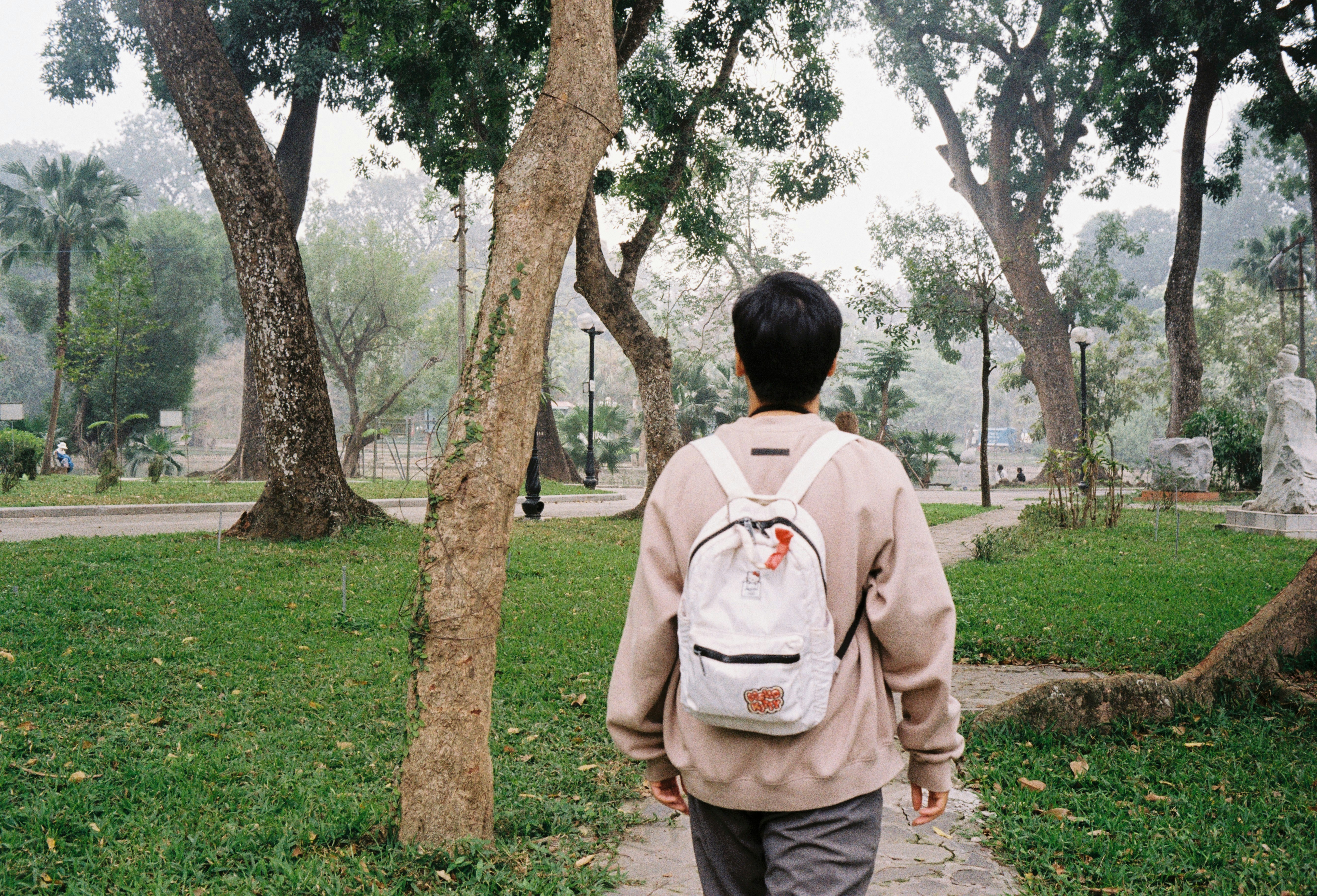 Wandering Through Nature's Embrace