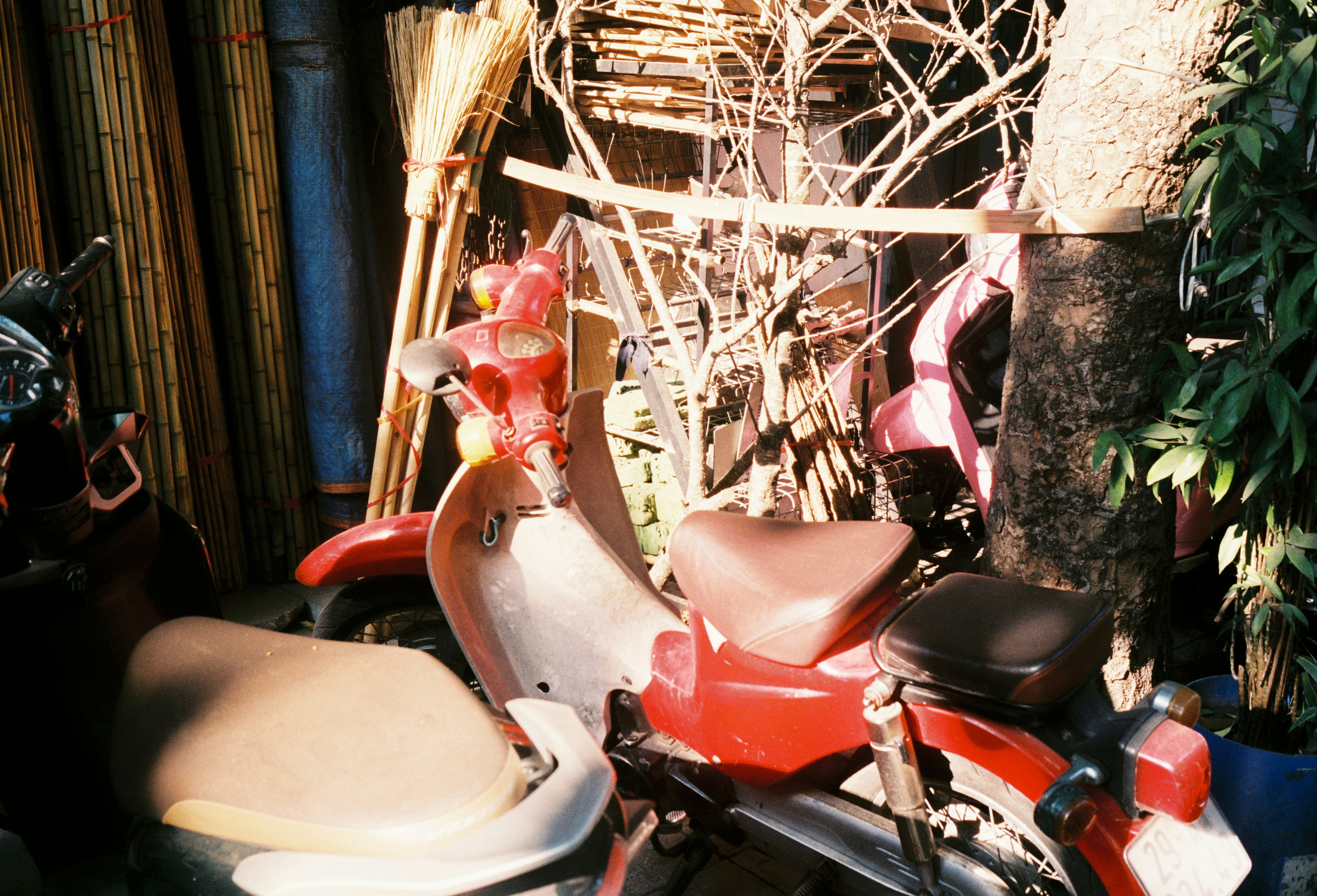 Sunlit Red Scooter Nestled Amid Crisscrossed Branches and Brooms