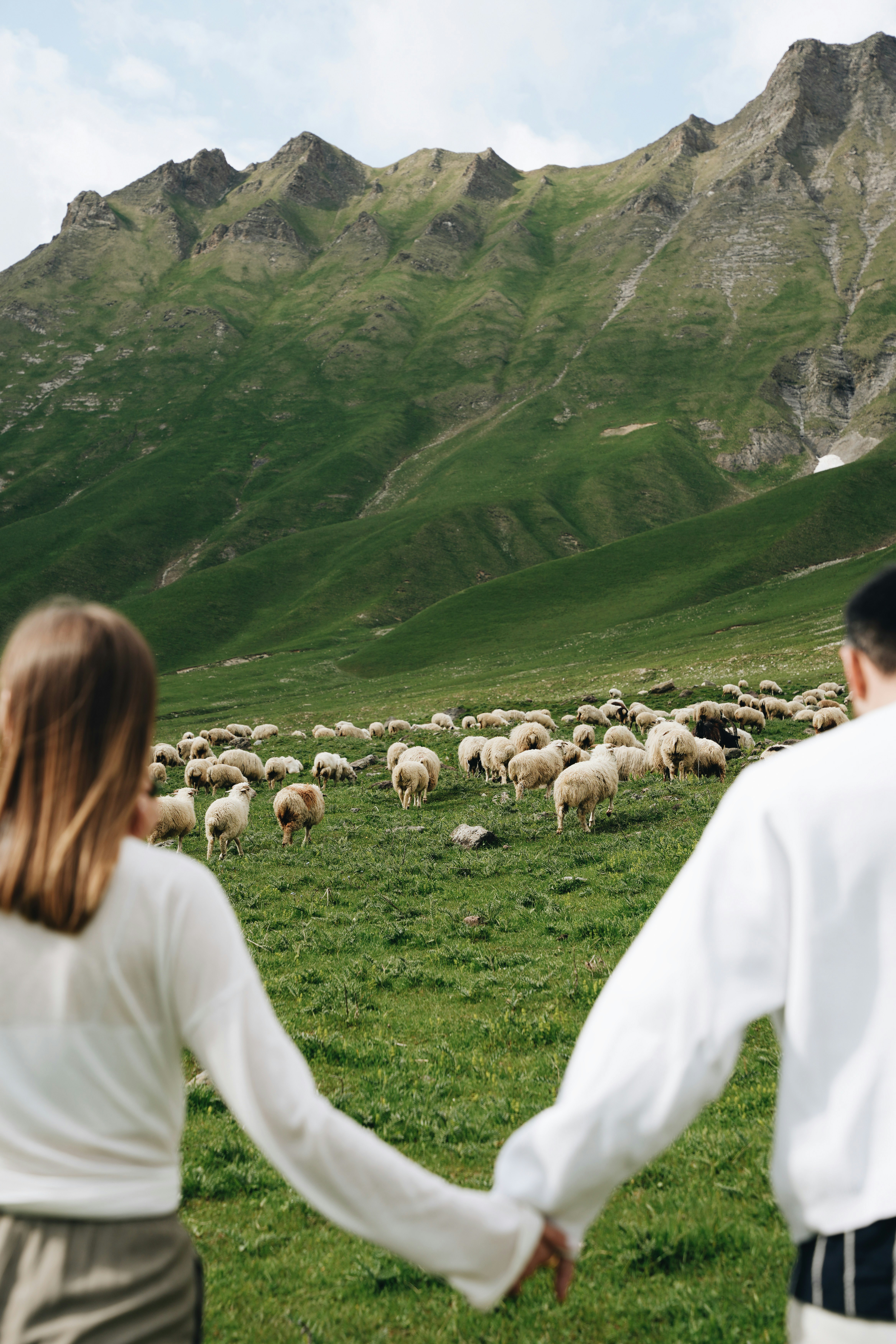 Couple holding hands while walking through a lush green meadow dotted with grazing sheep, framed by majestic mountains in the background.