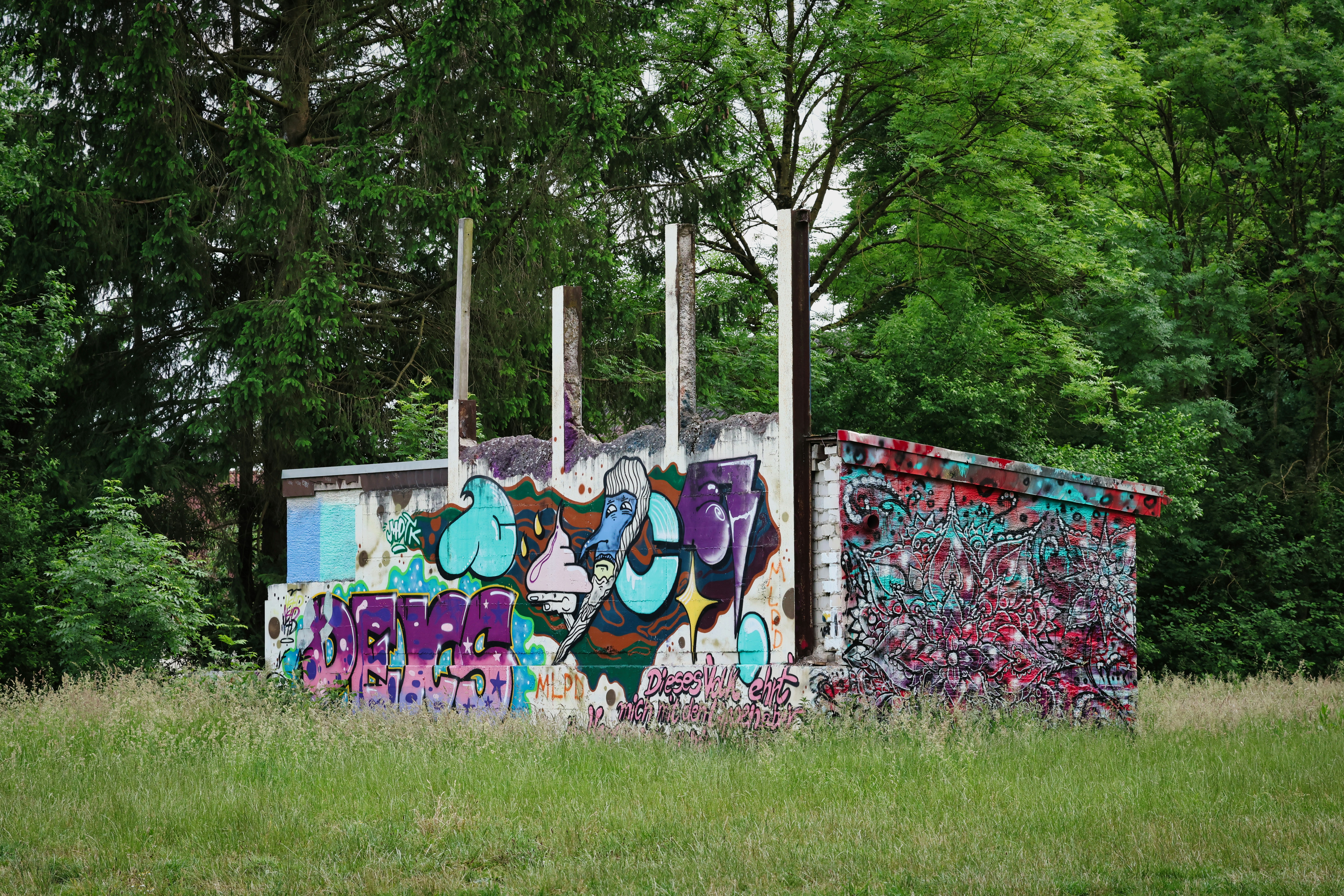 Urban Canvas: A Vibrant Expression Amidst Nature