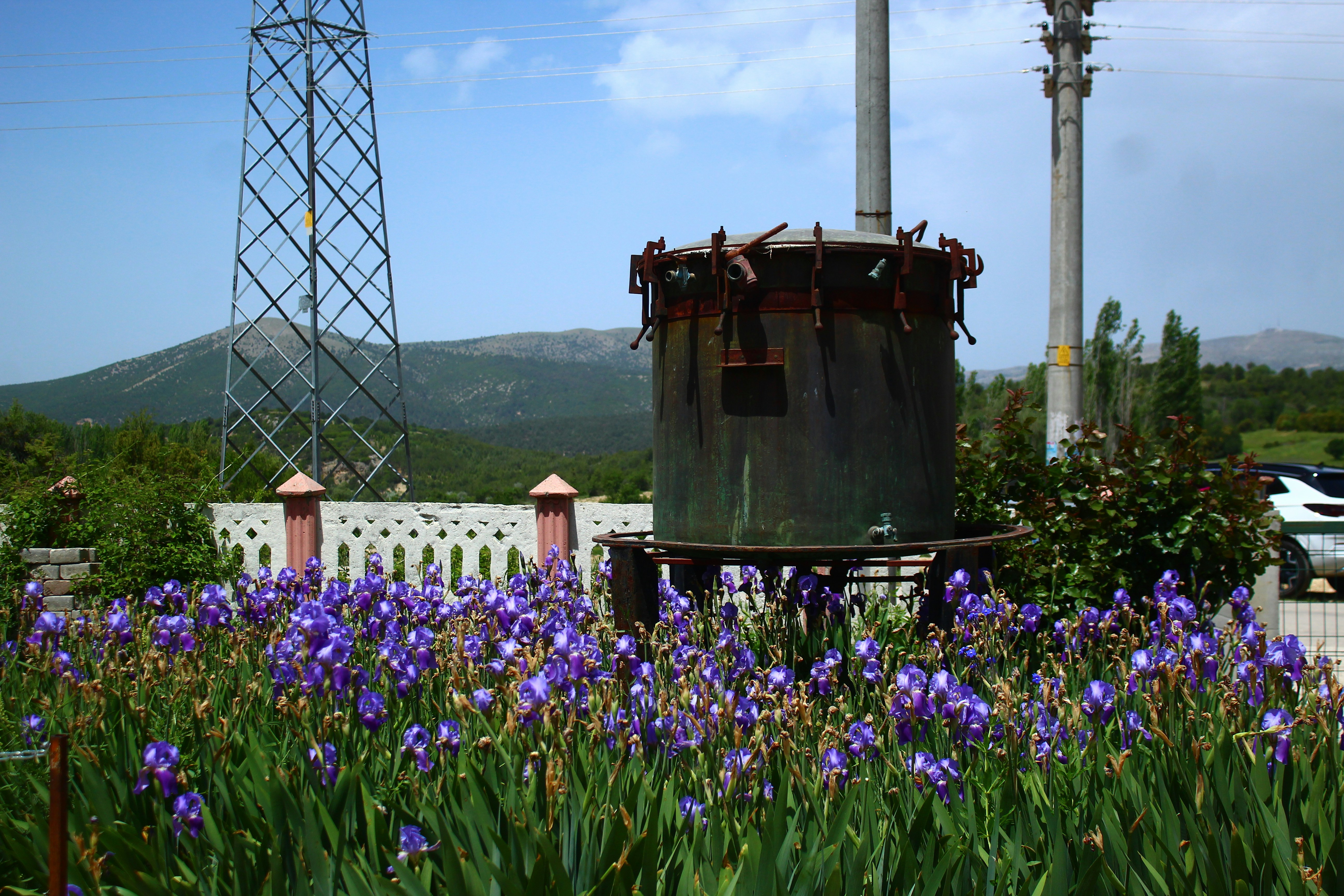 Rusted Circular Tank Emerges From a Sea of Irises Under a Mountain Sky