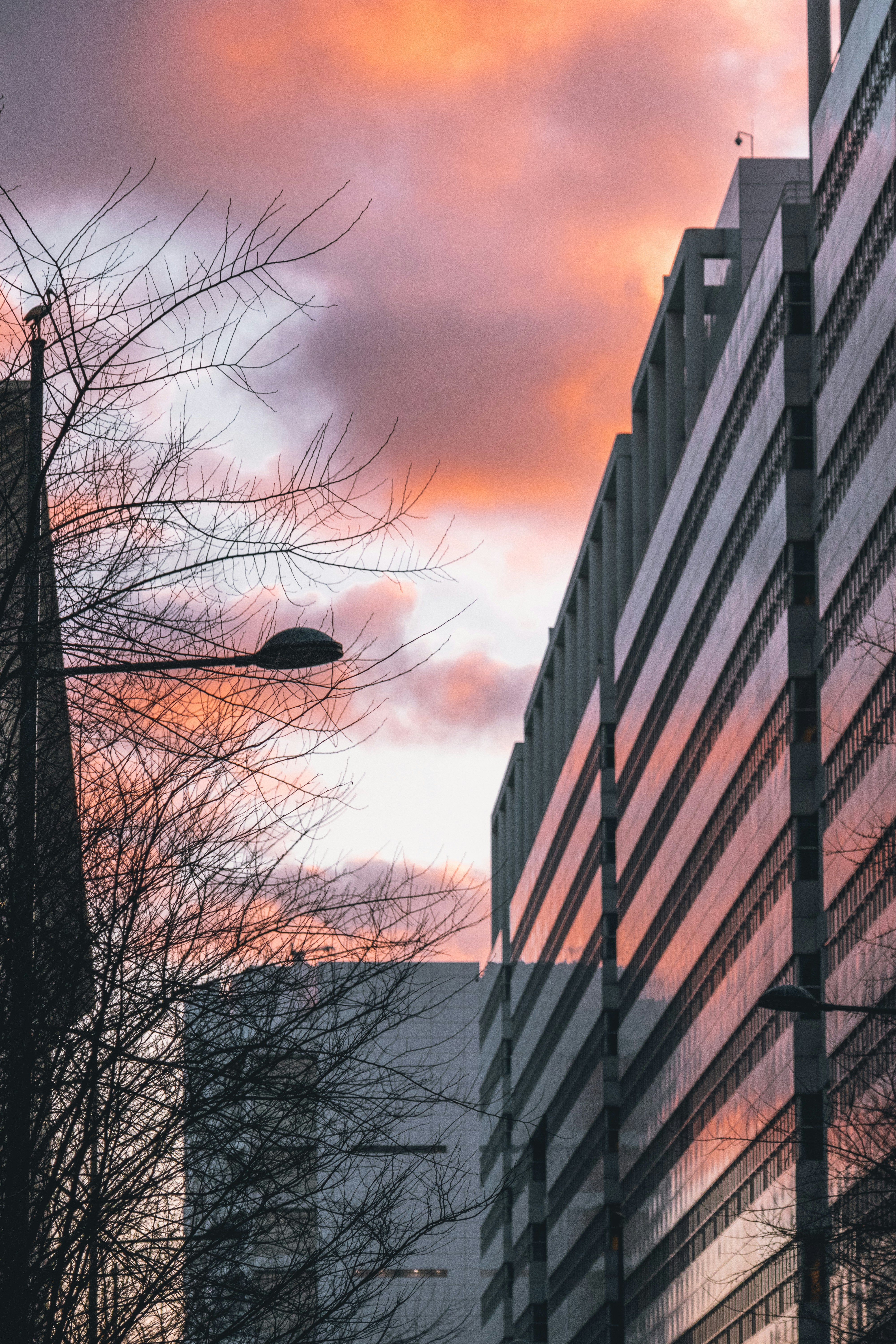 Sunset Clad: The Glass Skyline at Dusk