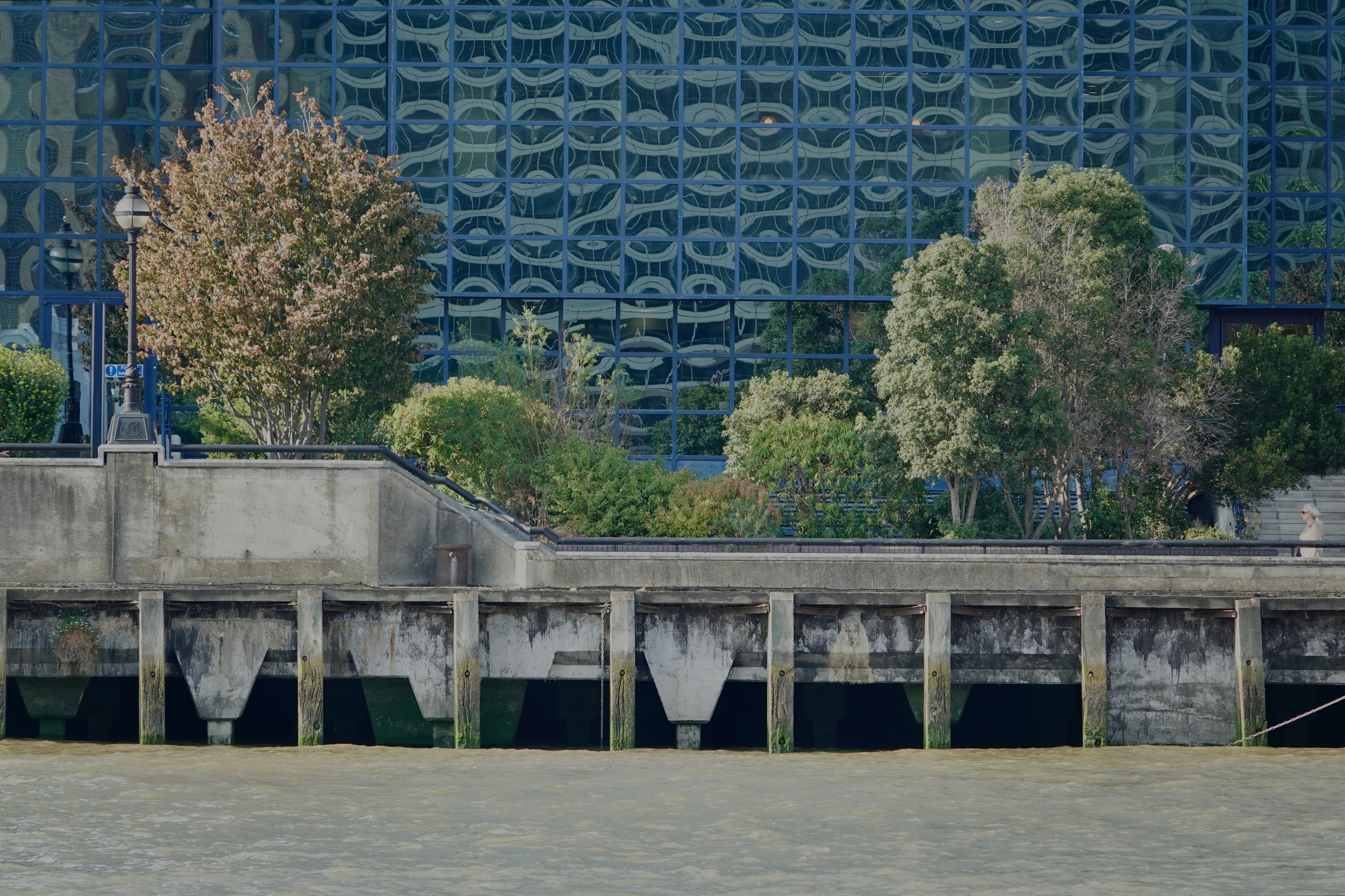Urban Harmony: Nature Meets Modern Architecture