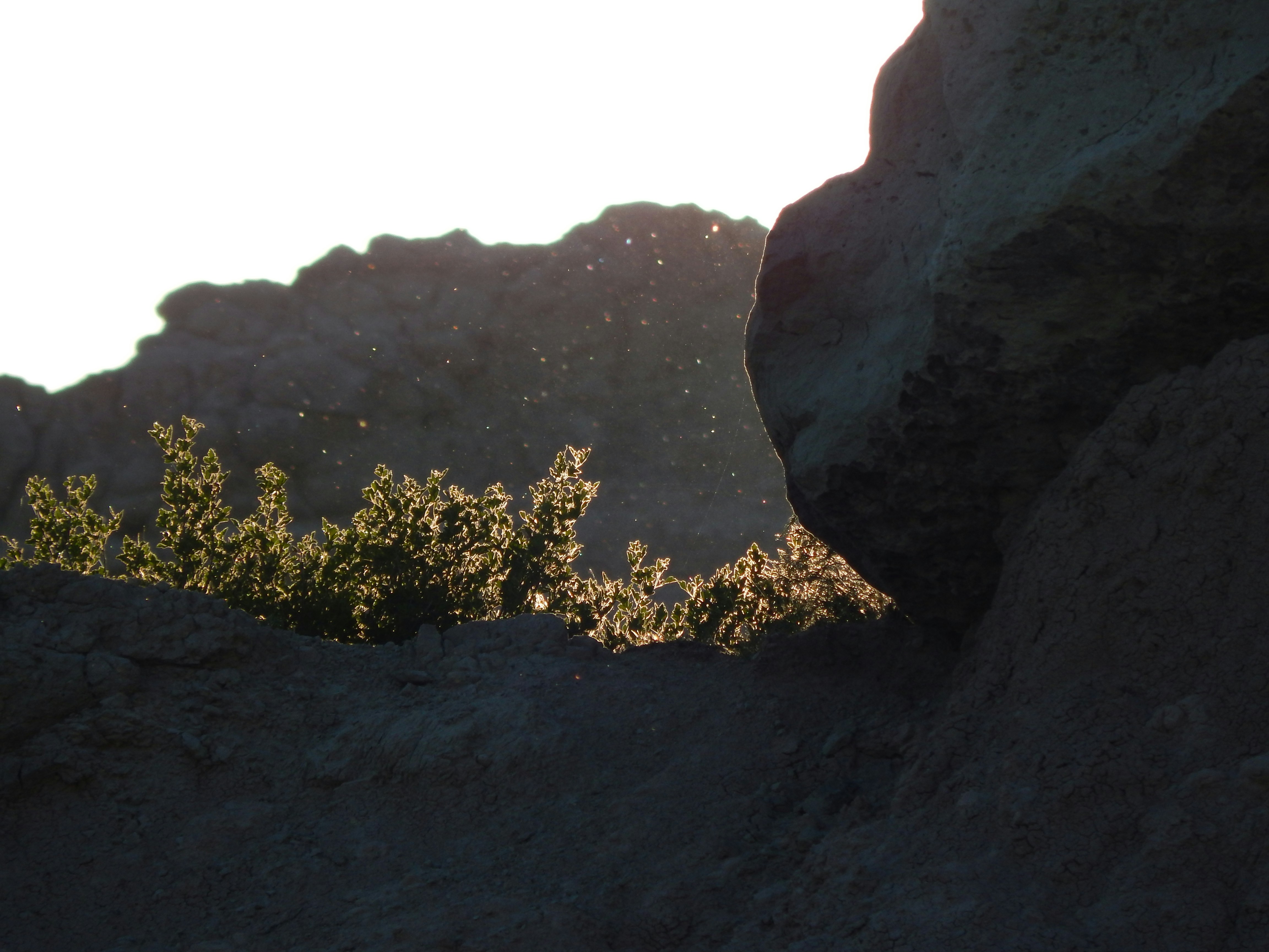 Sunlit Ridge Scrub Framed by Shadowed Monoliths