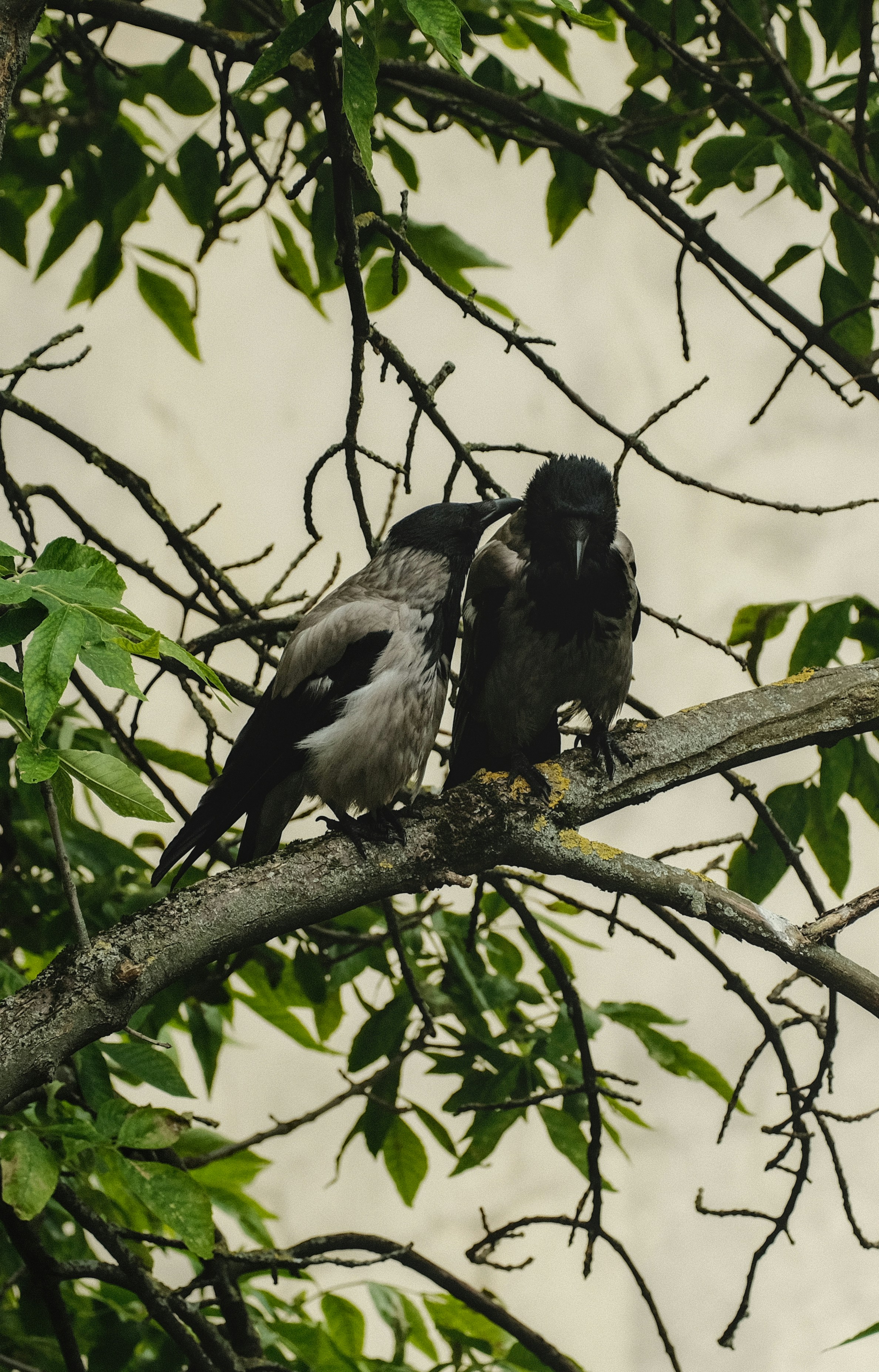 Photo by Olga Isakova with Fujifilm X-T30