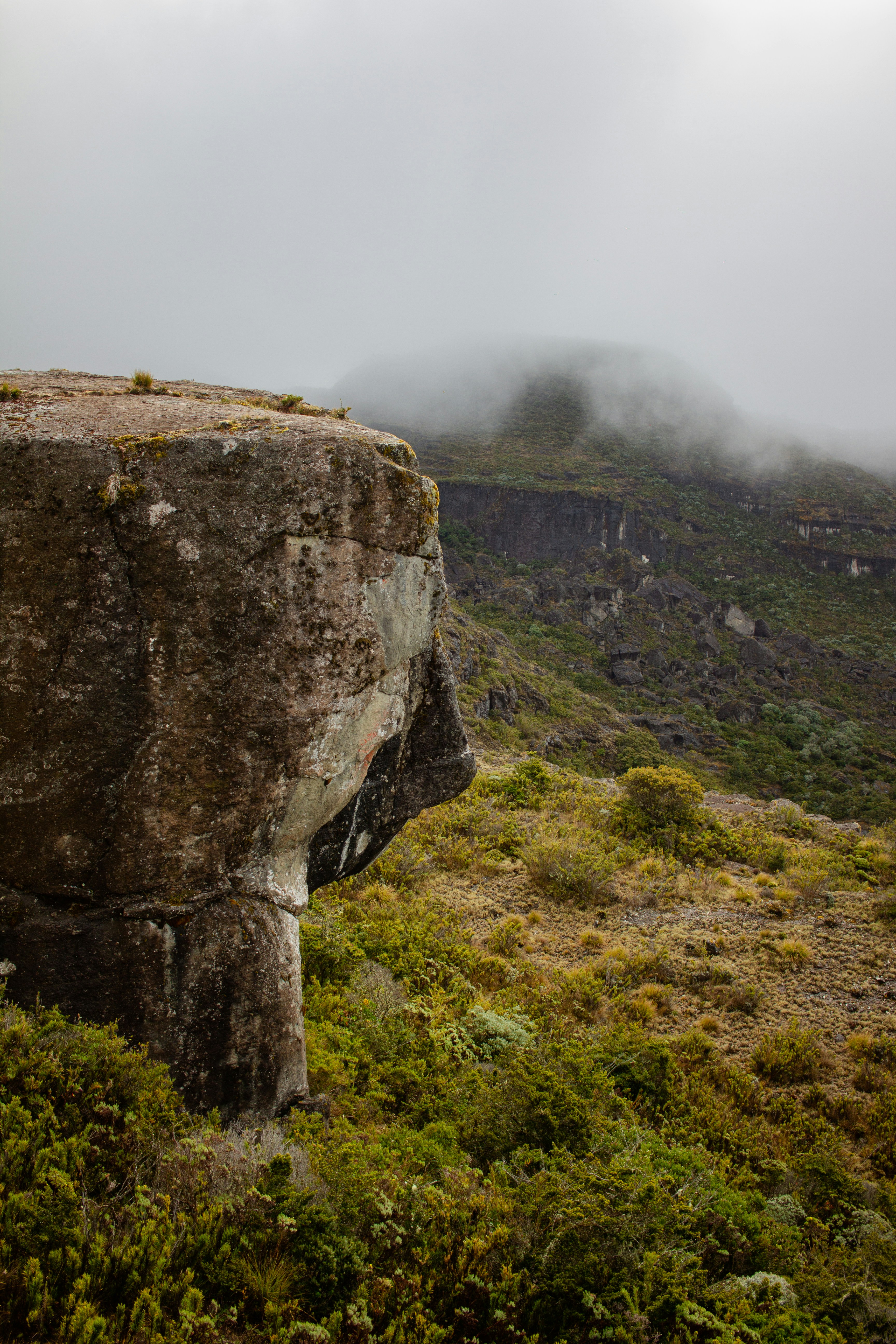 The Guardian of the Misty Highlands