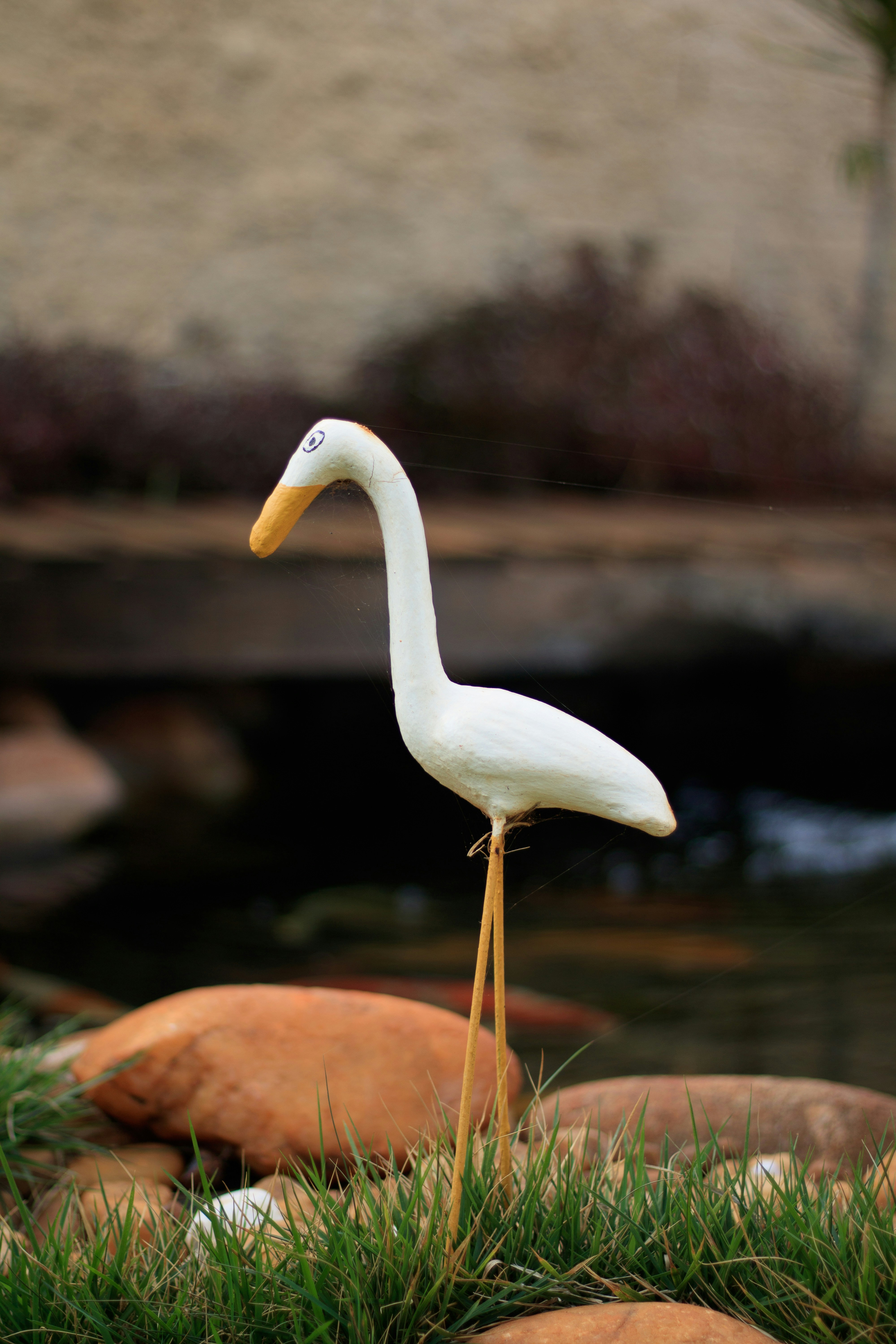 Whimsical Waterfowl: A Playful Garden Companion