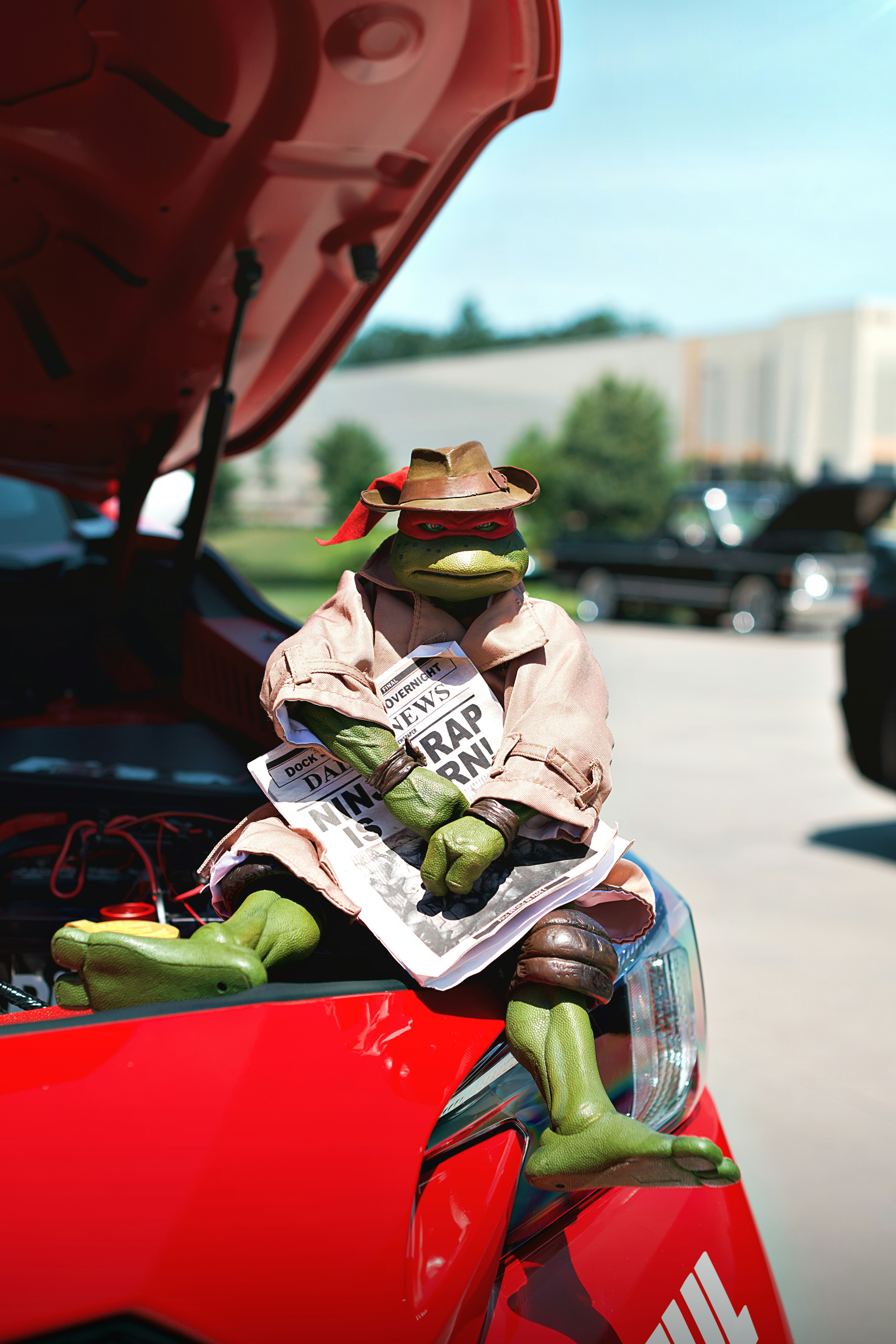 Raphael the turtle is sitting on a car. photo – Free Car Image on Unsplash