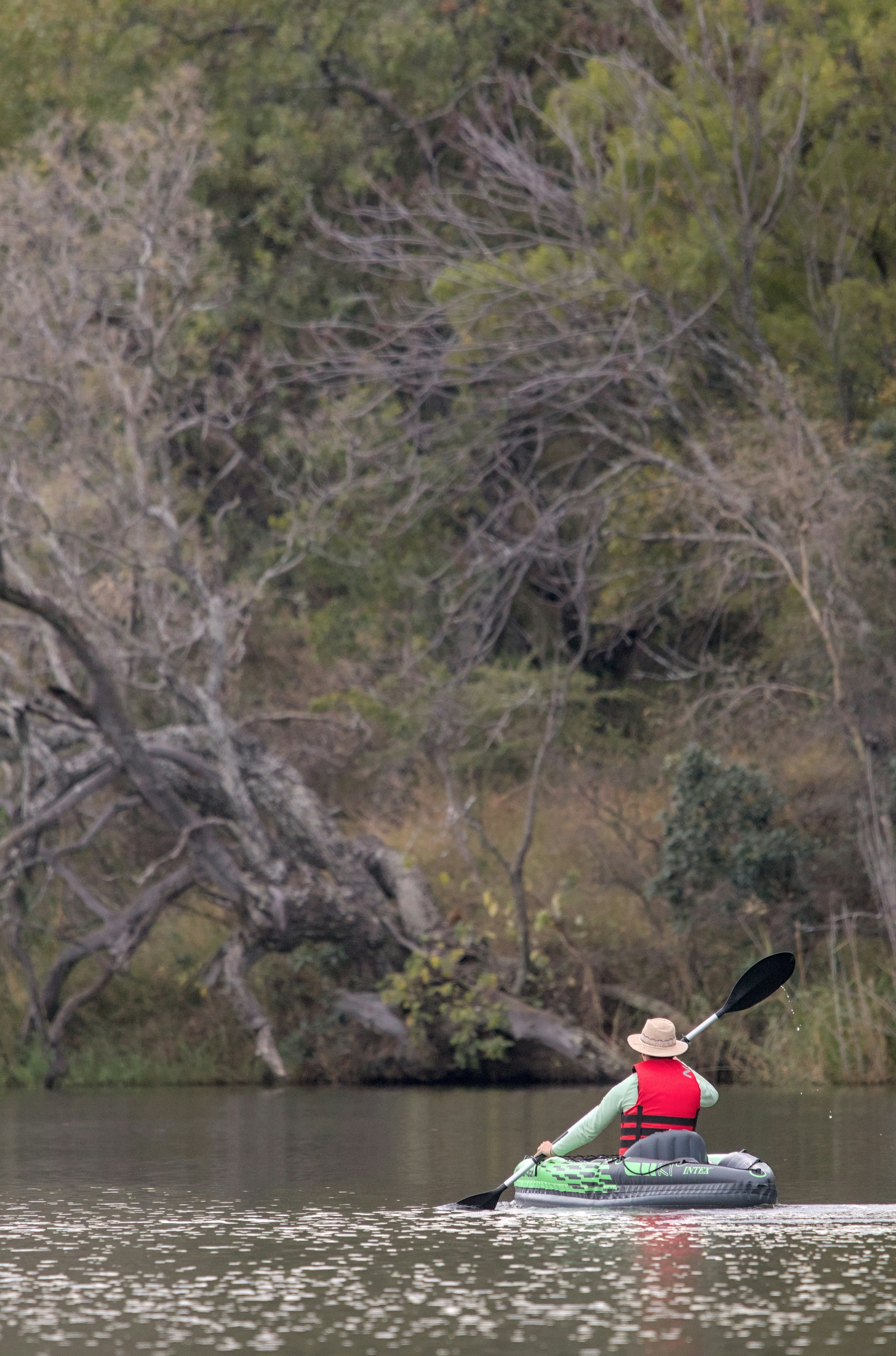 Rowing | A person kayaks on calm water near trees.