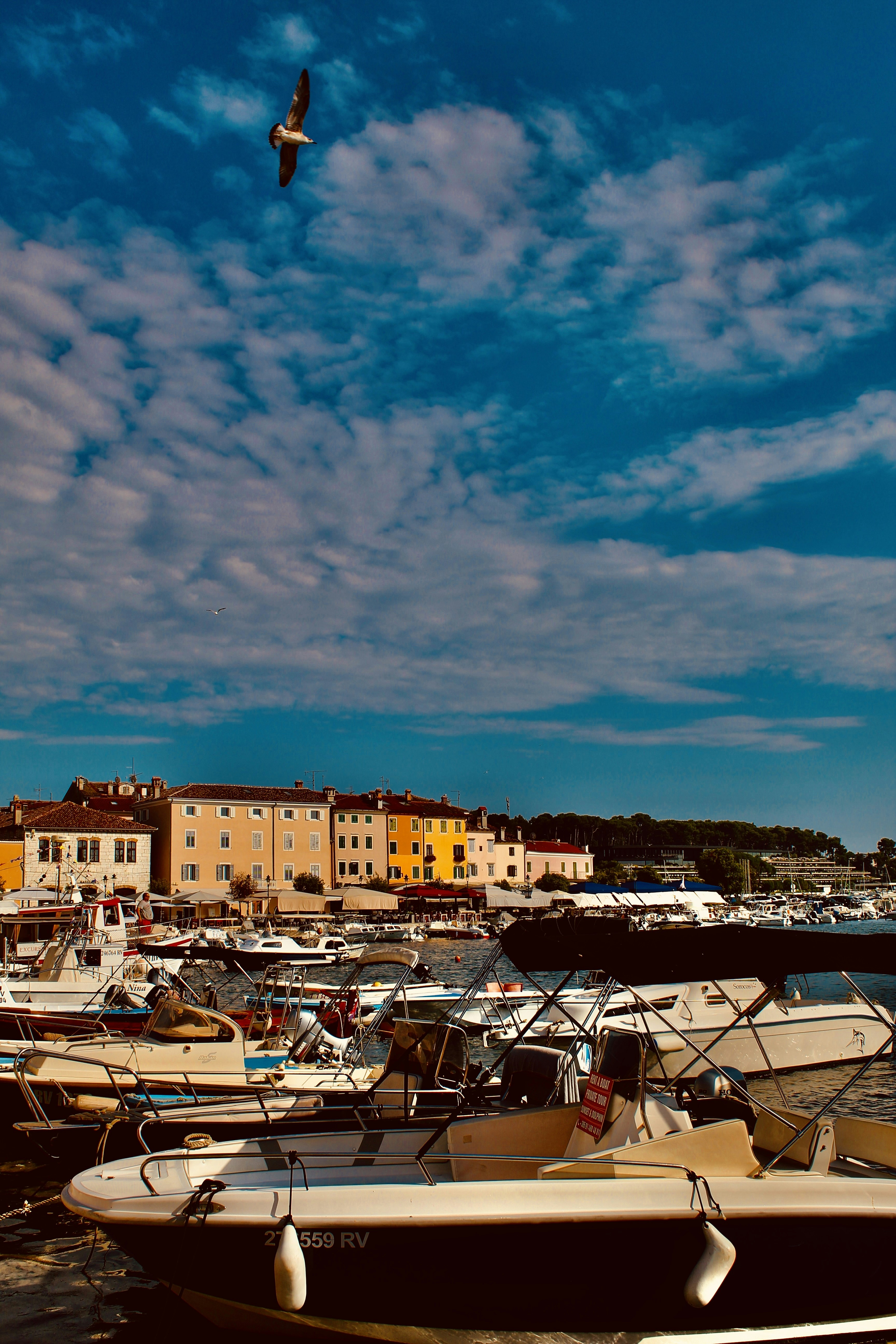 A peaceful marina, with boats resting on still water, a bird flying freely in the calm sky. | Boats rest by buildings under a cloudy sky.
