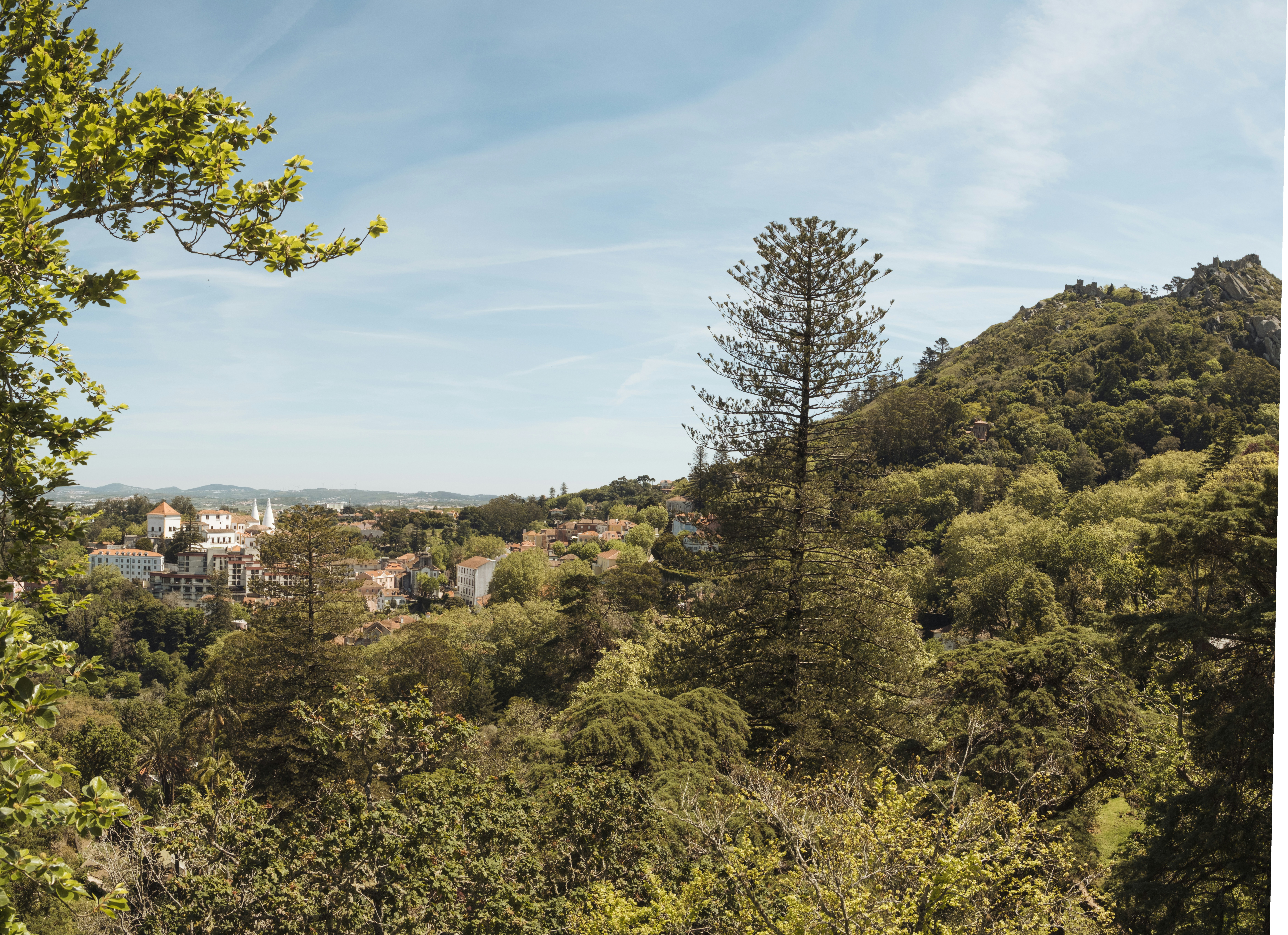 Lush green landscape featuring a blend of hills and urban architecture under a clear sky. The scene captures the harmony between nature and human habitation.