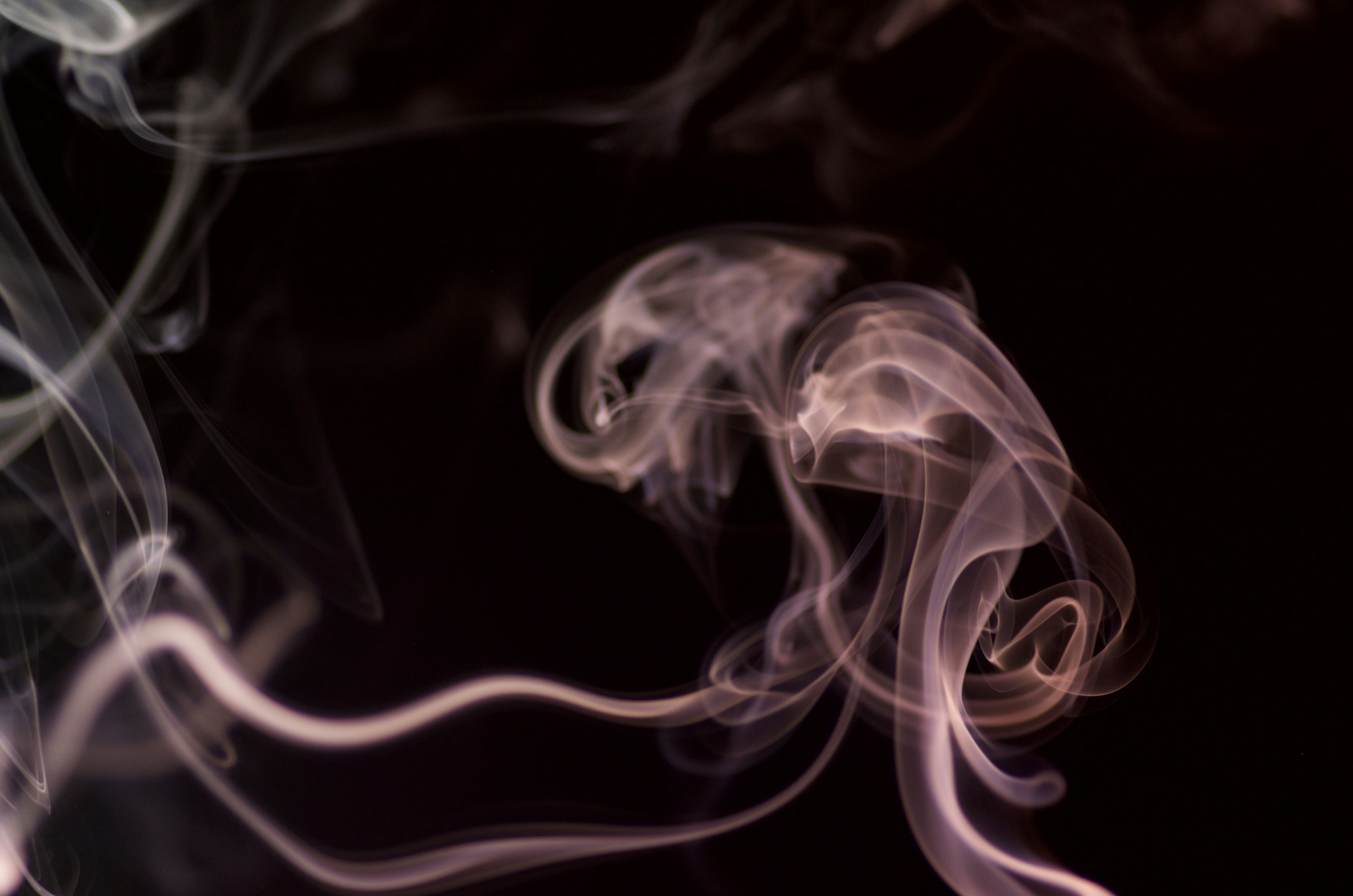 Smoke curls and swirls against a black background. photo – Free Pink ...
