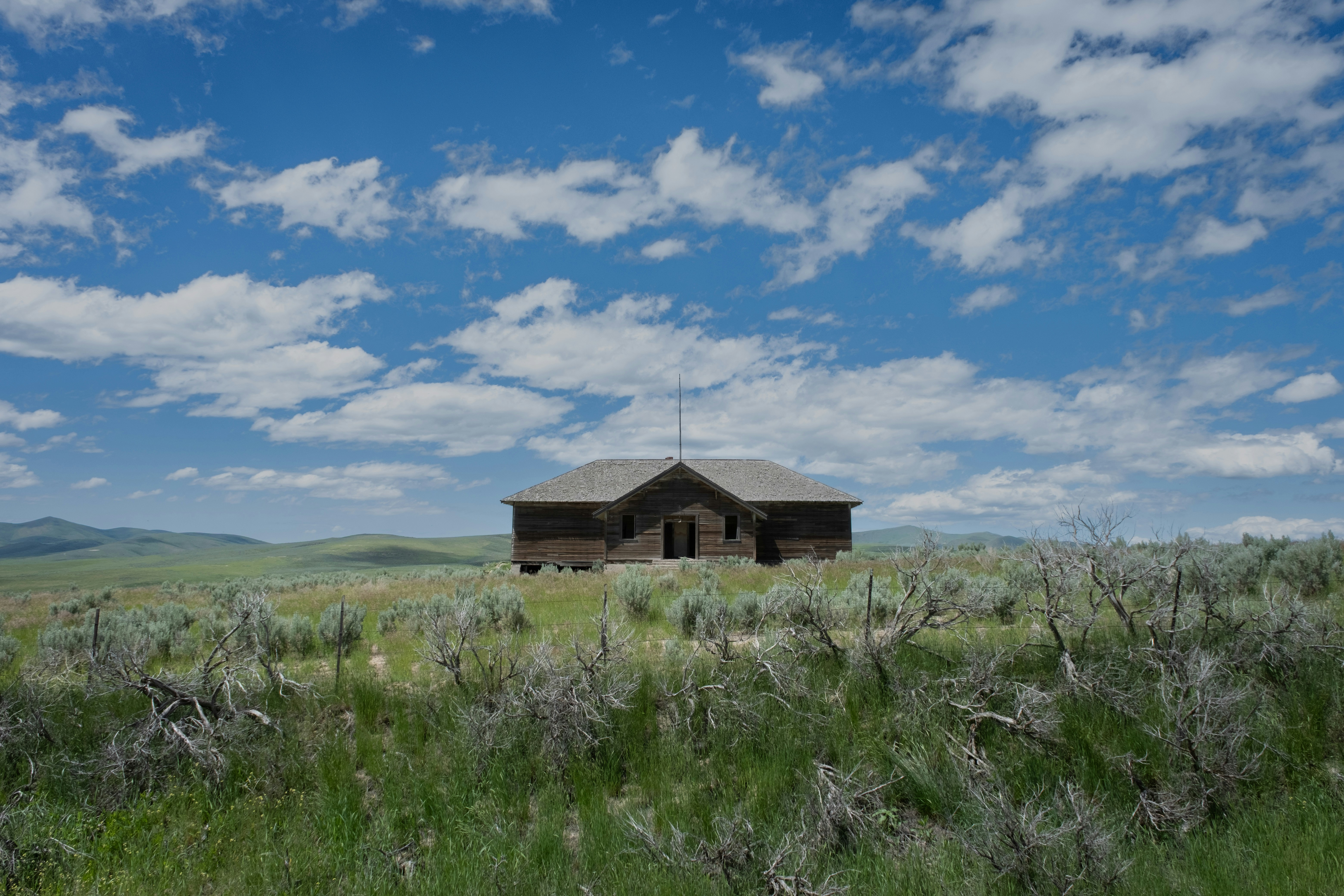 Whispers of the Past: An Abandoned Homestead