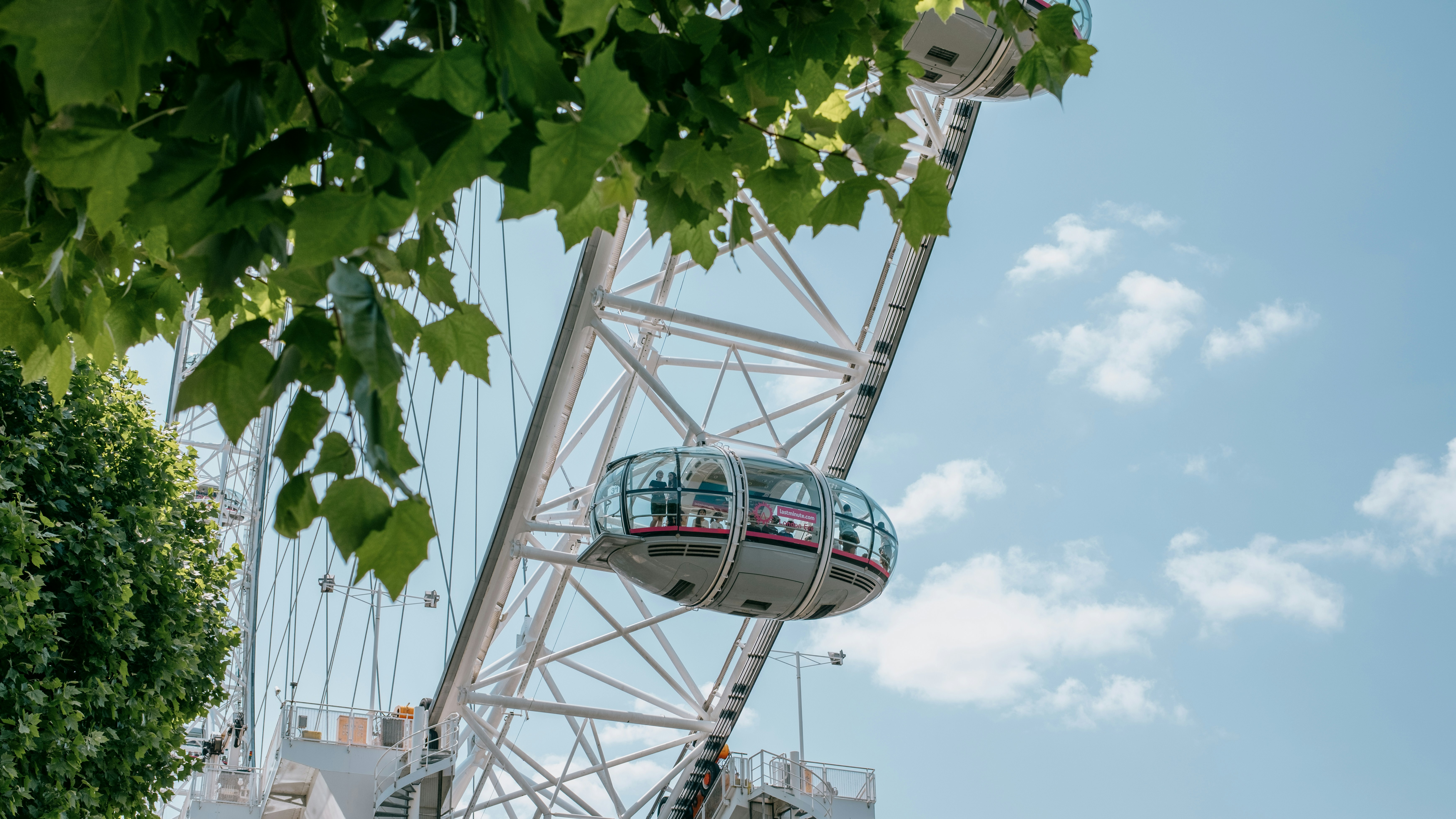 Skyward Journey: A Glimpse of Adventure