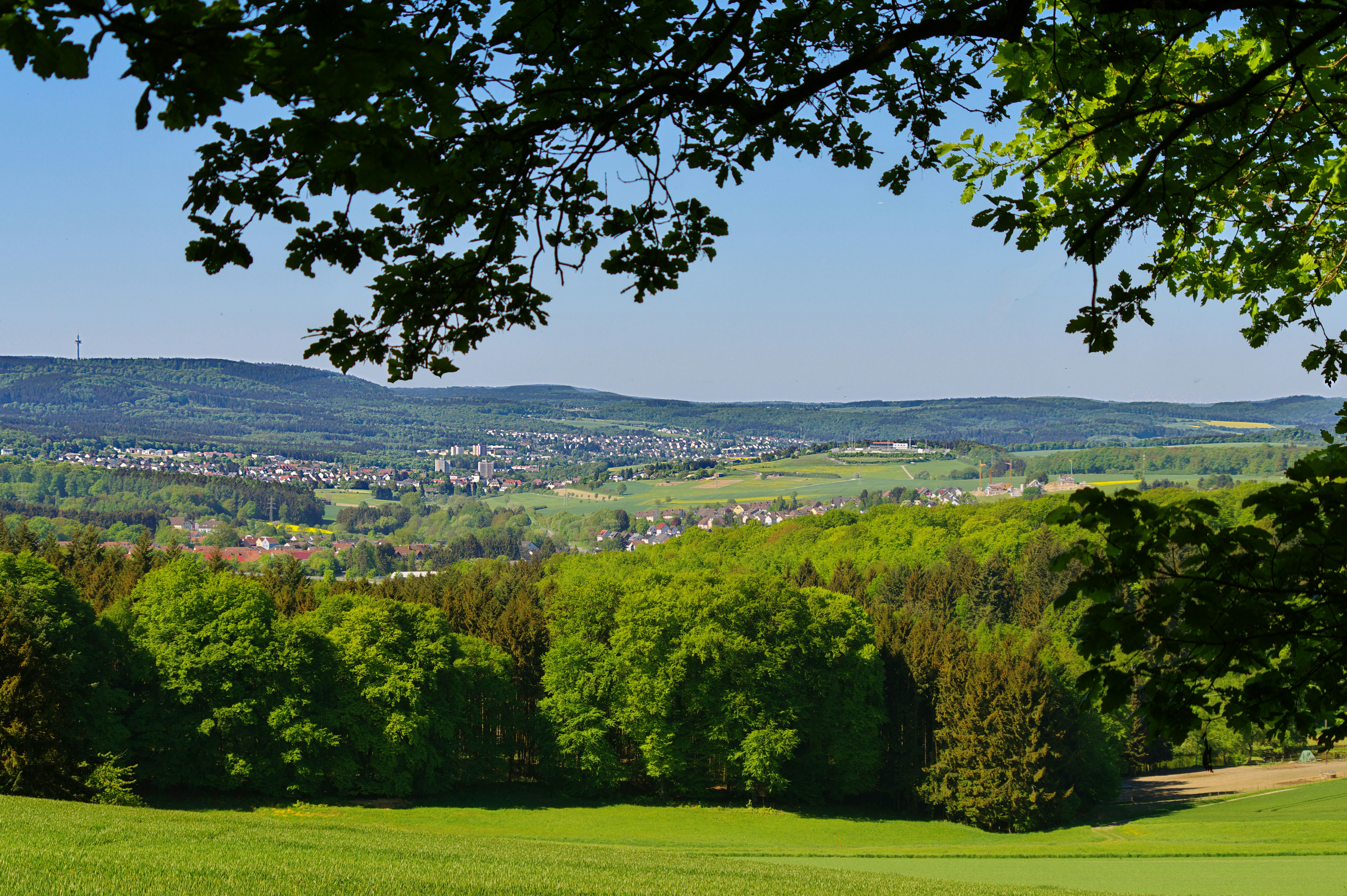 Green landscape with trees and a town in the distance. photo – Free ...