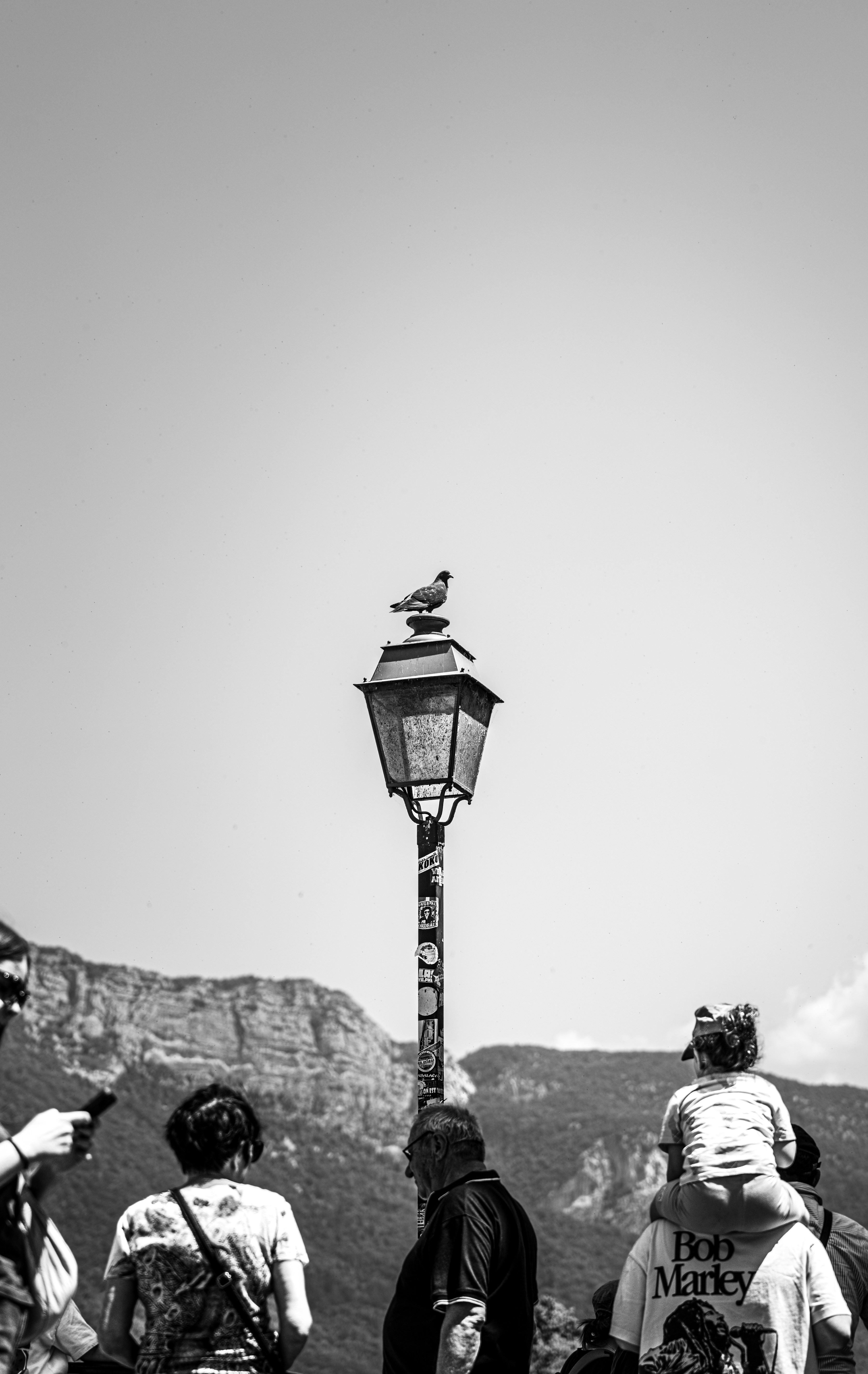 Lantern-Top Sentinel: A Bird Over a Crowd Against Mountain Backdrop