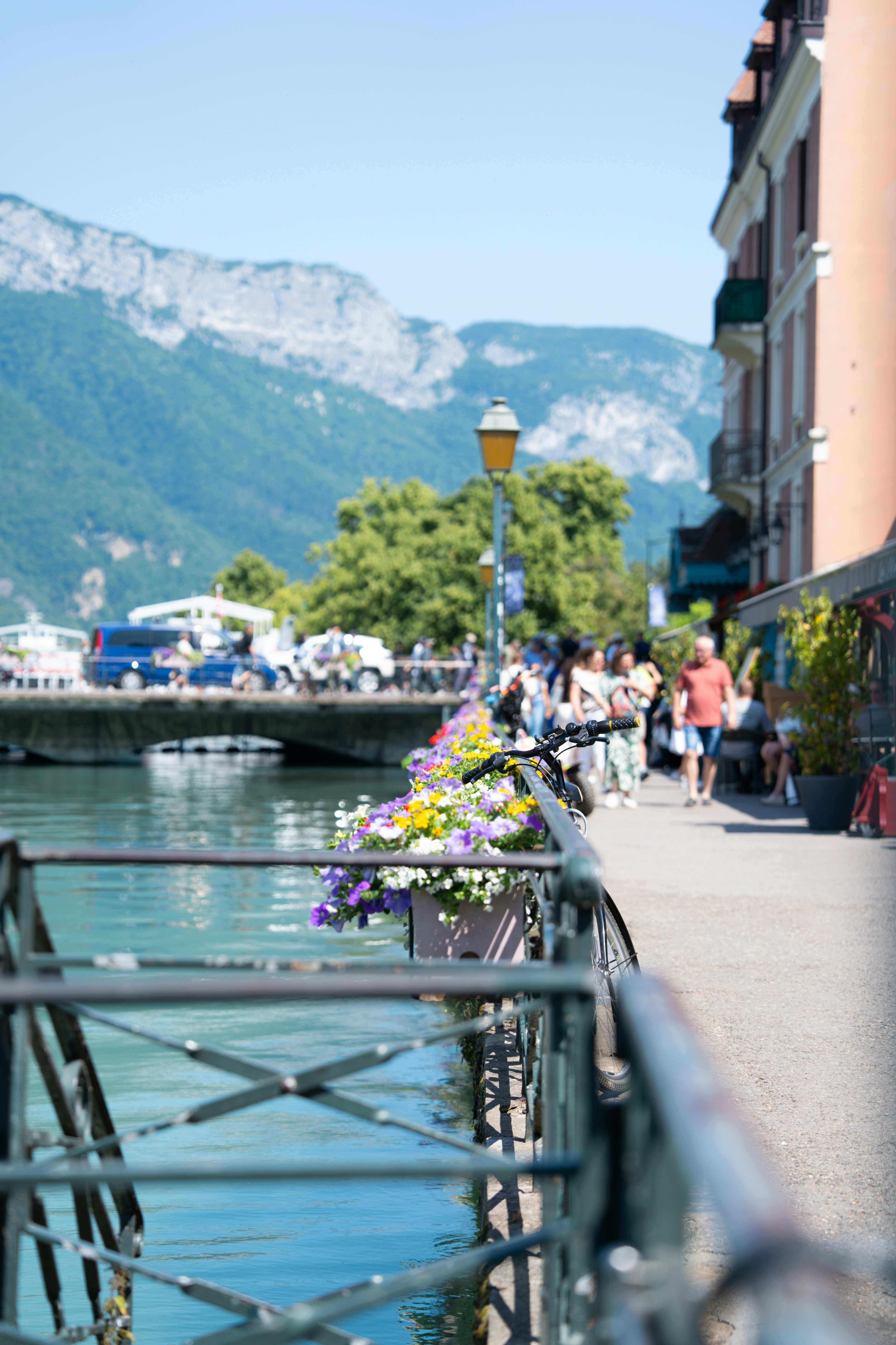 Blooming Basket on a Riverside Bike Amid Alpine Promenade
