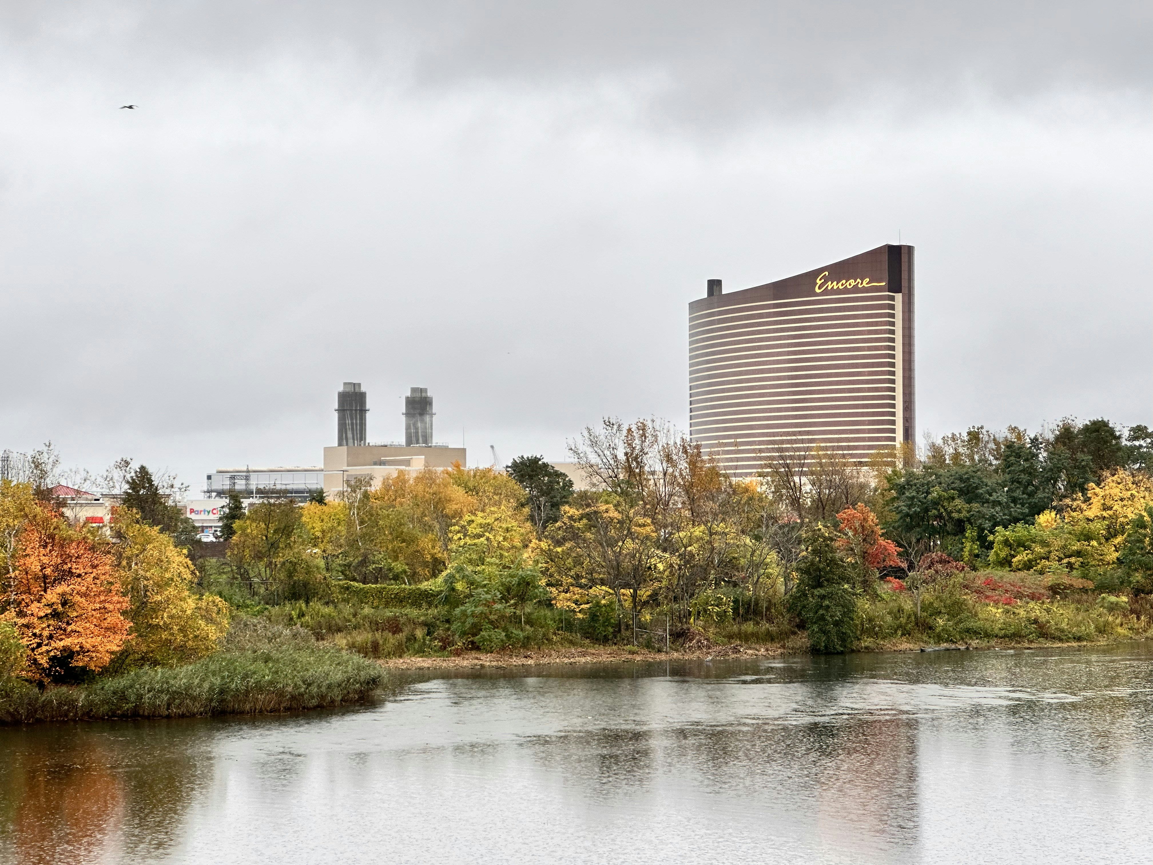 Urban Oasis: The Serenity of Autumn Reflections