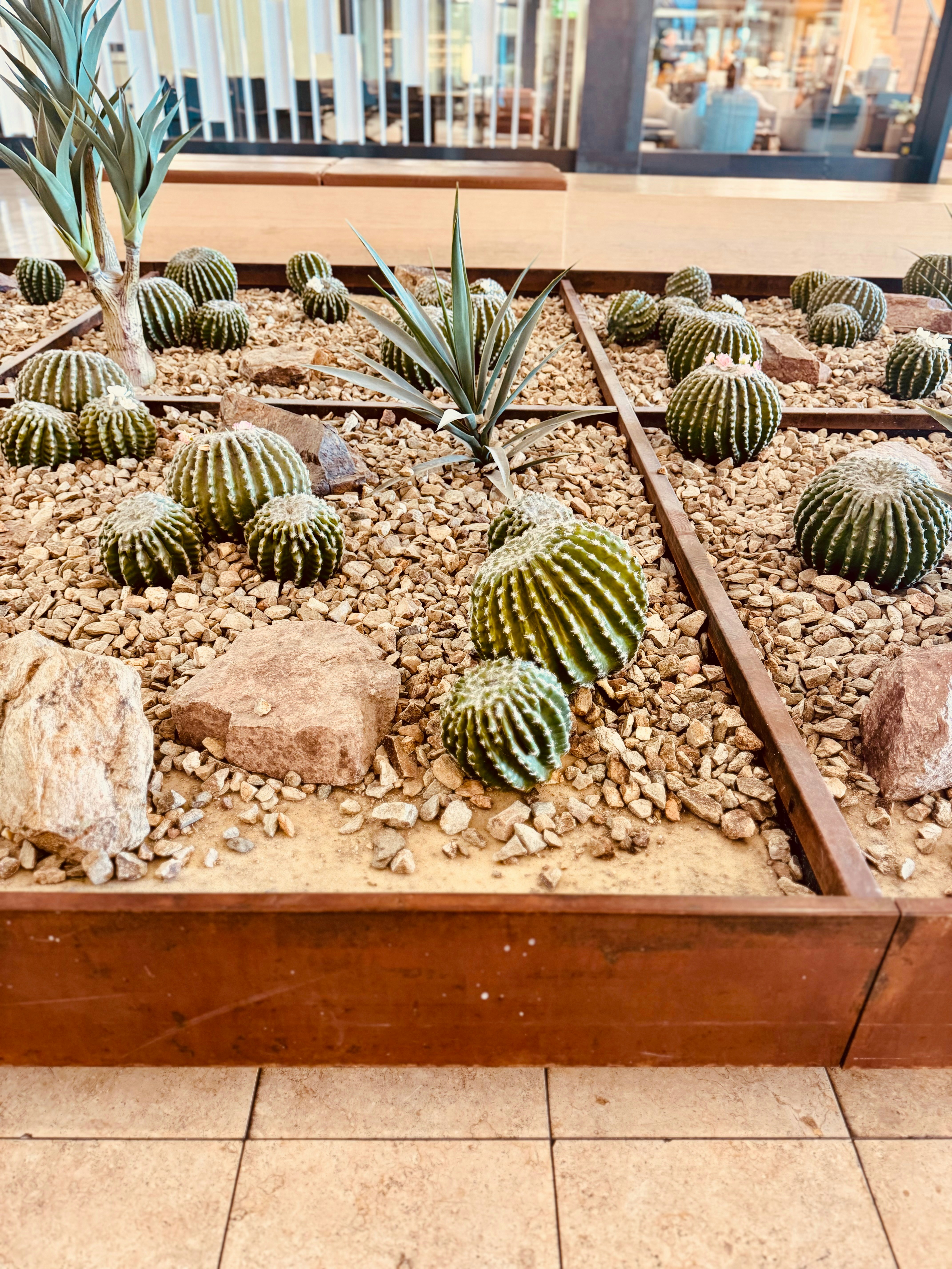 Desert Harmony: A Green Oasis Within Urban Walls