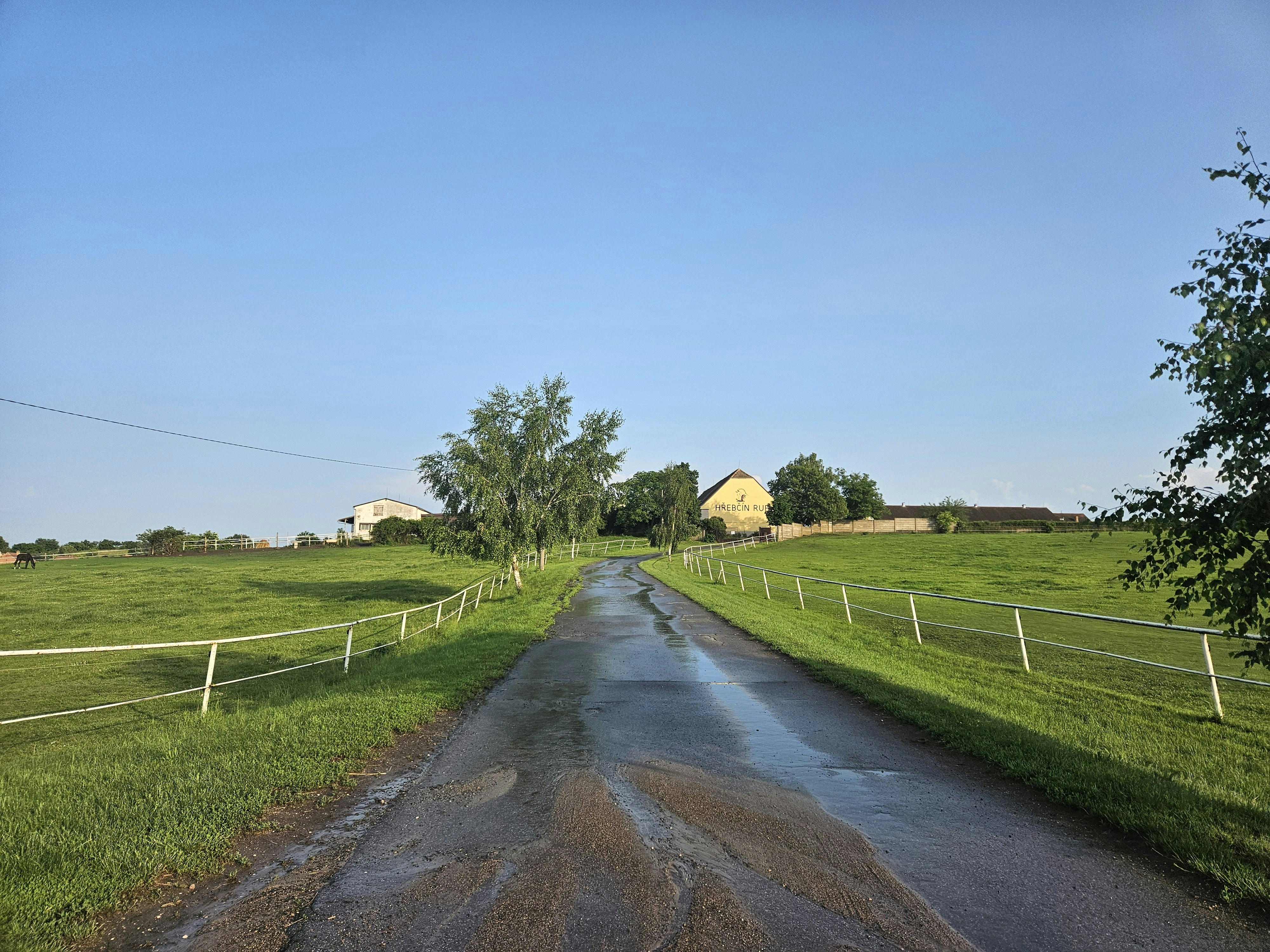 Road leads to buildings in a sunny field.