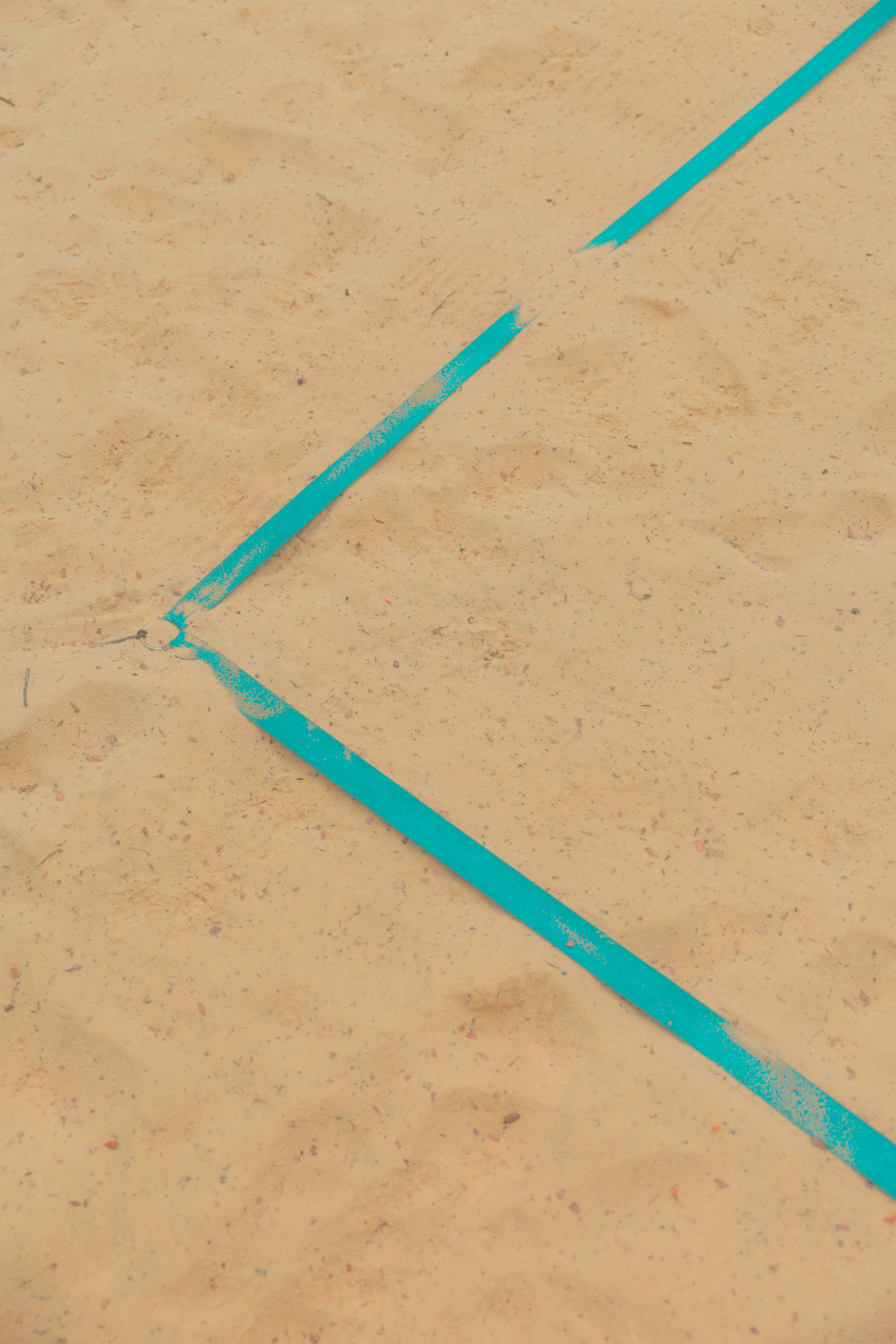 Photo by Brandon Griggs with Canon EOS R5 Mark II