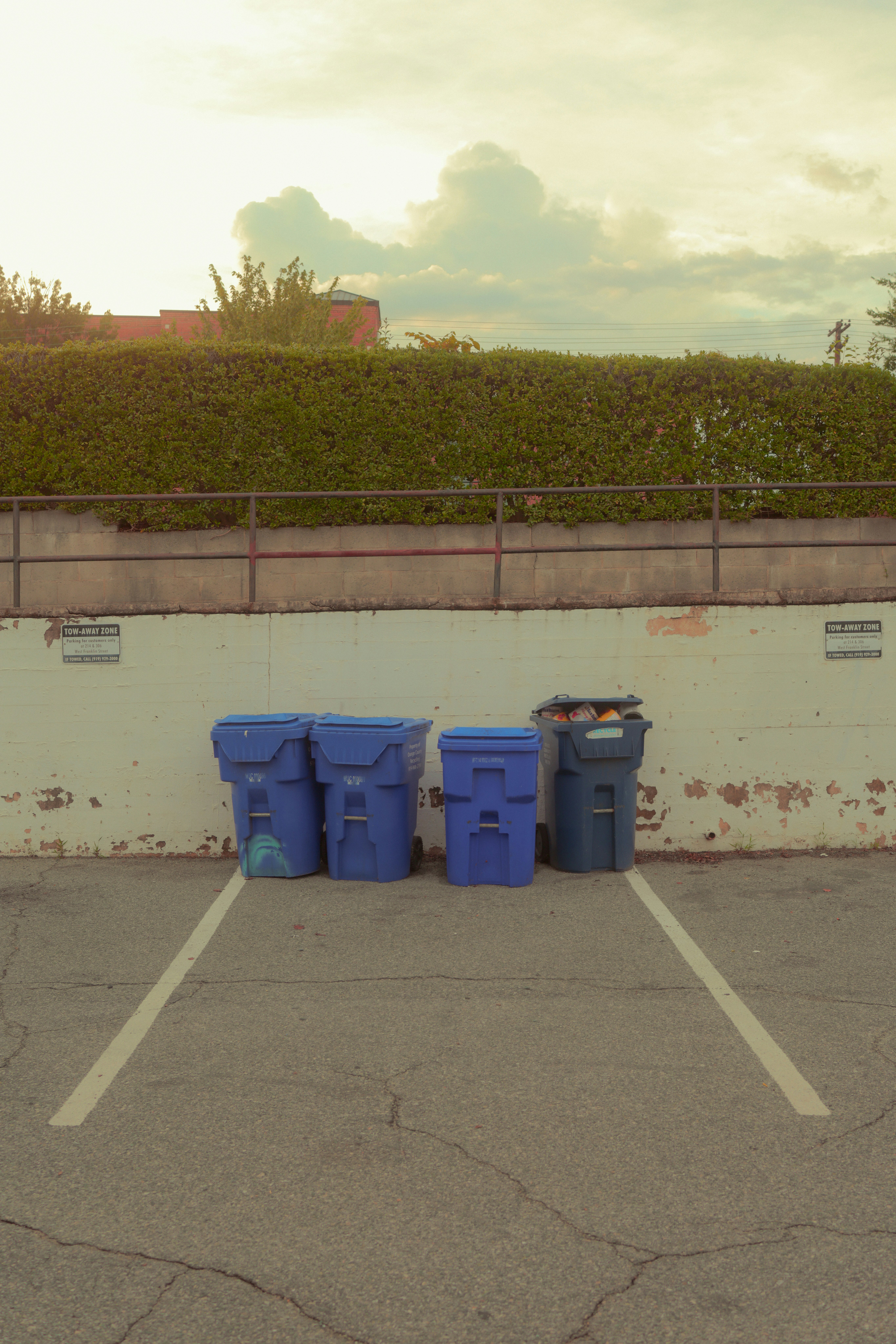 Urban Waste Harmony: A Colorful Arrangement