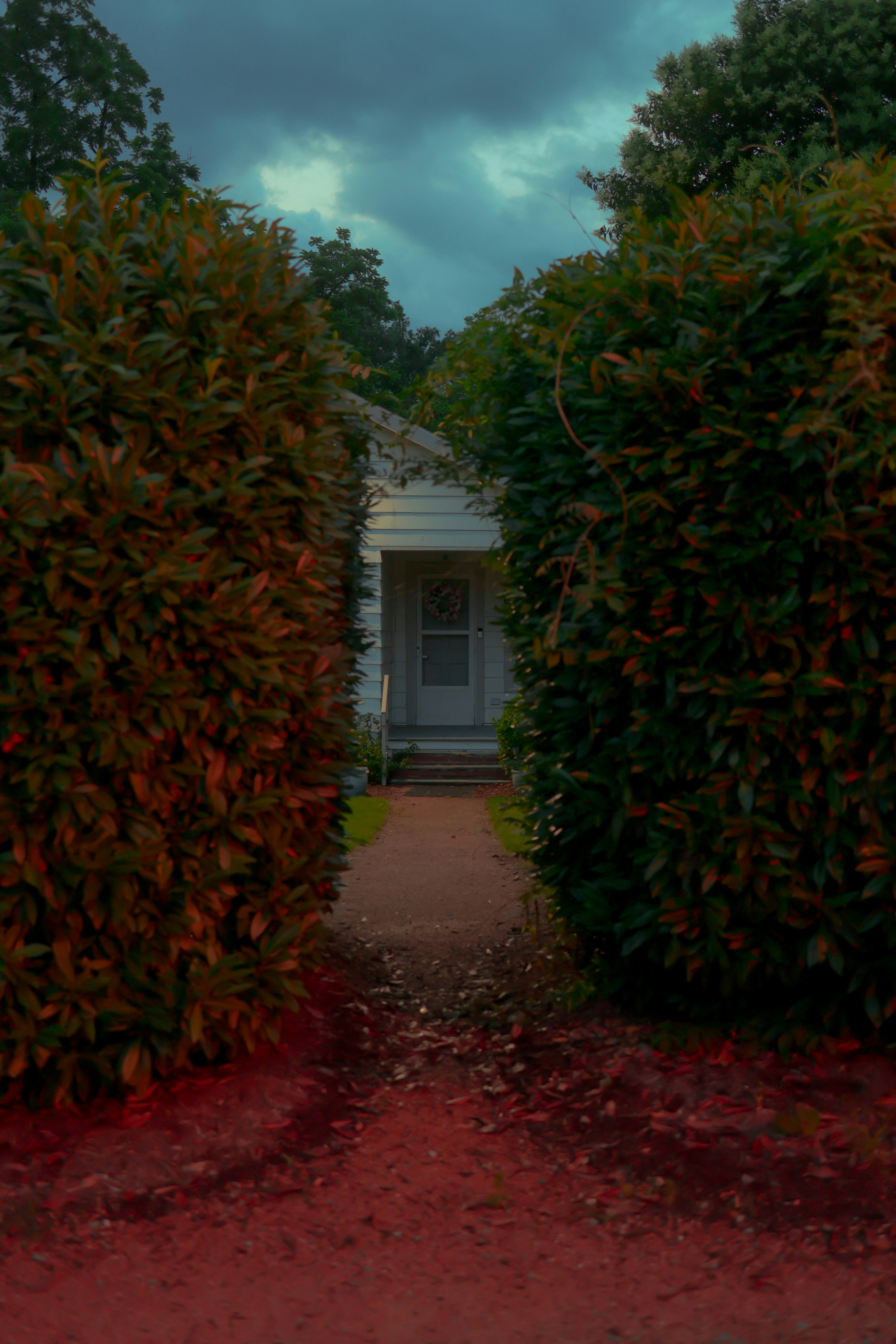 Pathway to Tranquility: A Hidden Retreat