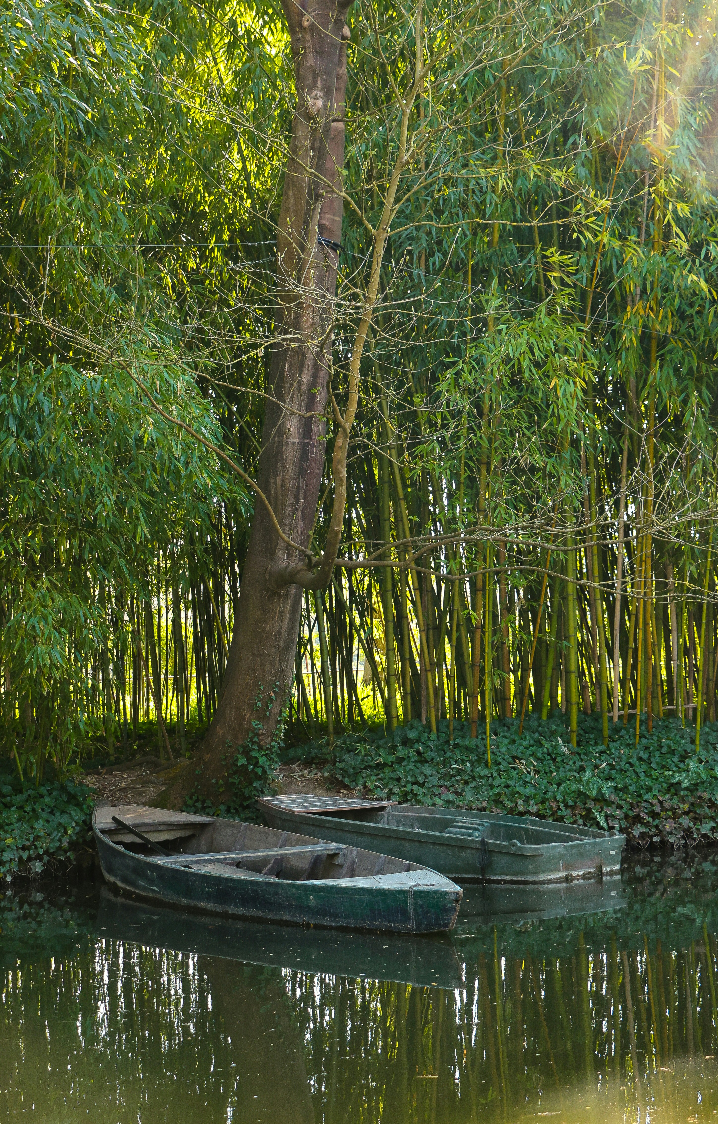 Two boats rest near the bank of a tranquil pond.