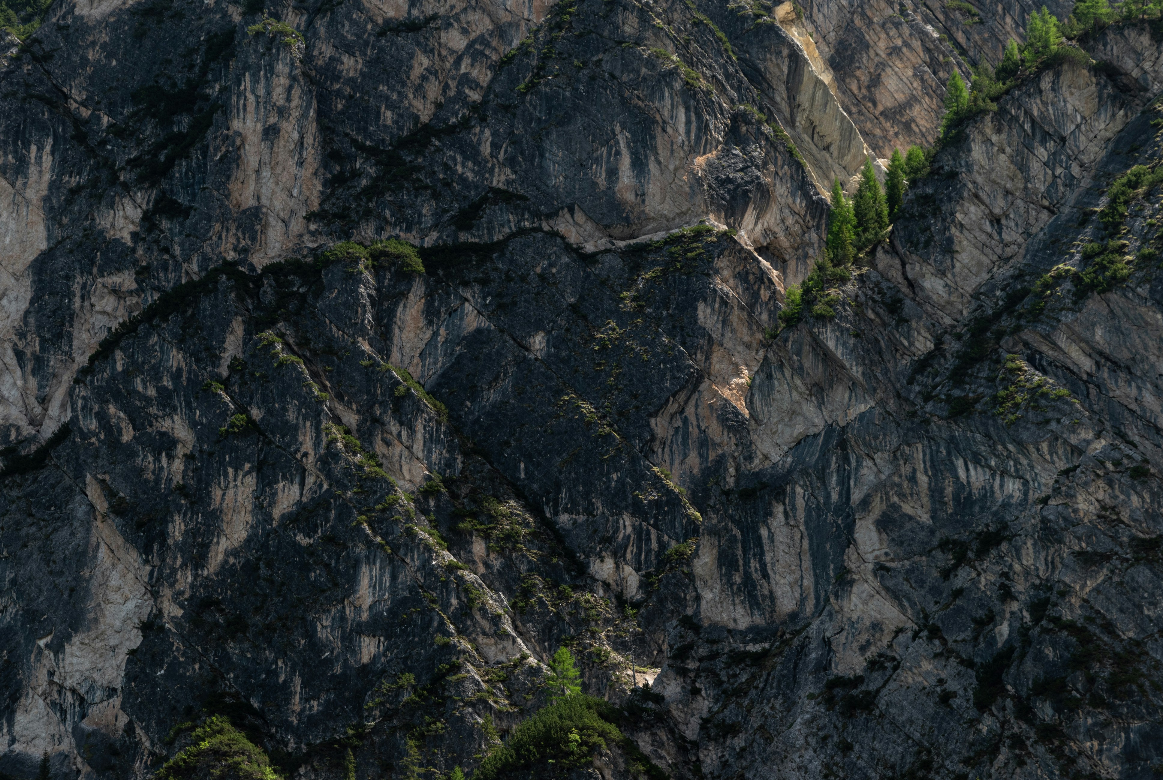 Jagged mountain cliffs with sparse patches of trees. photo – Free ...