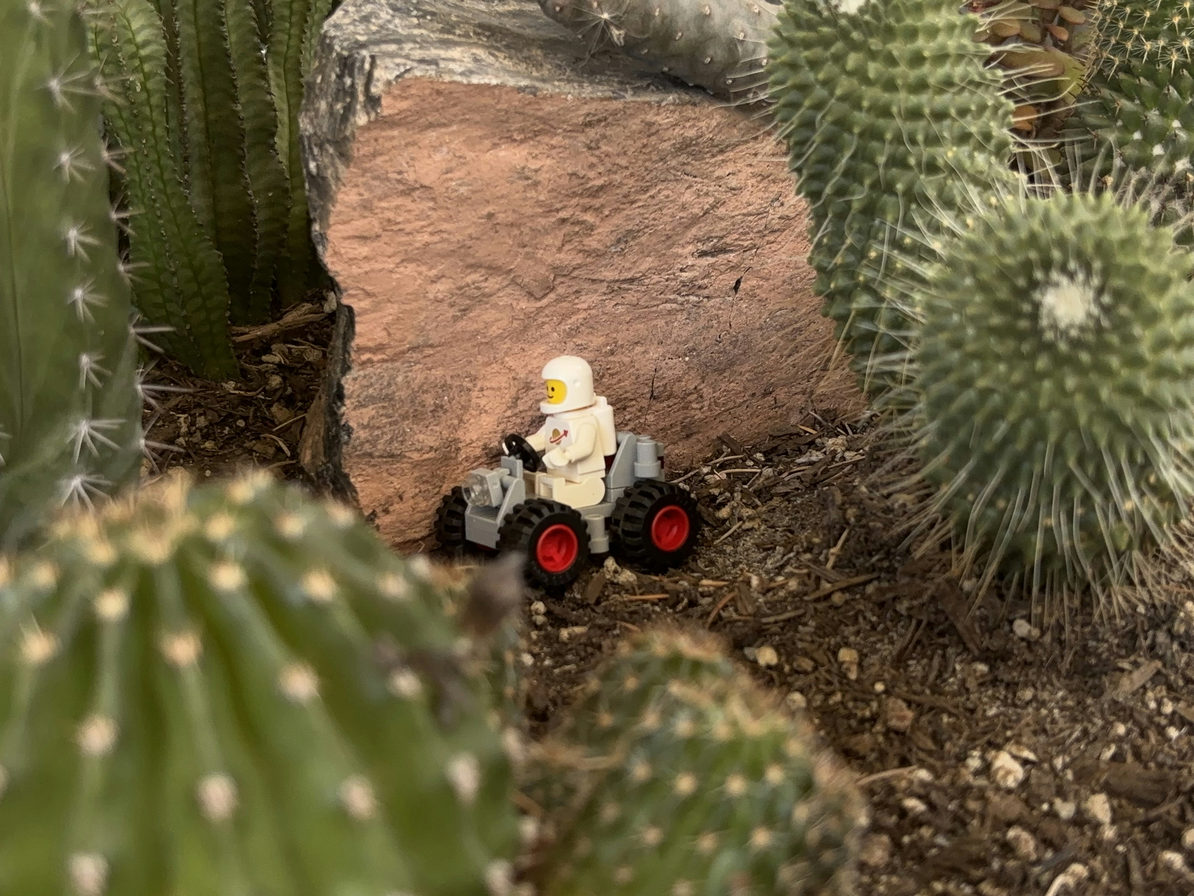 LEGO Driver Navigates a Cactus Patch in a Miniature Garden