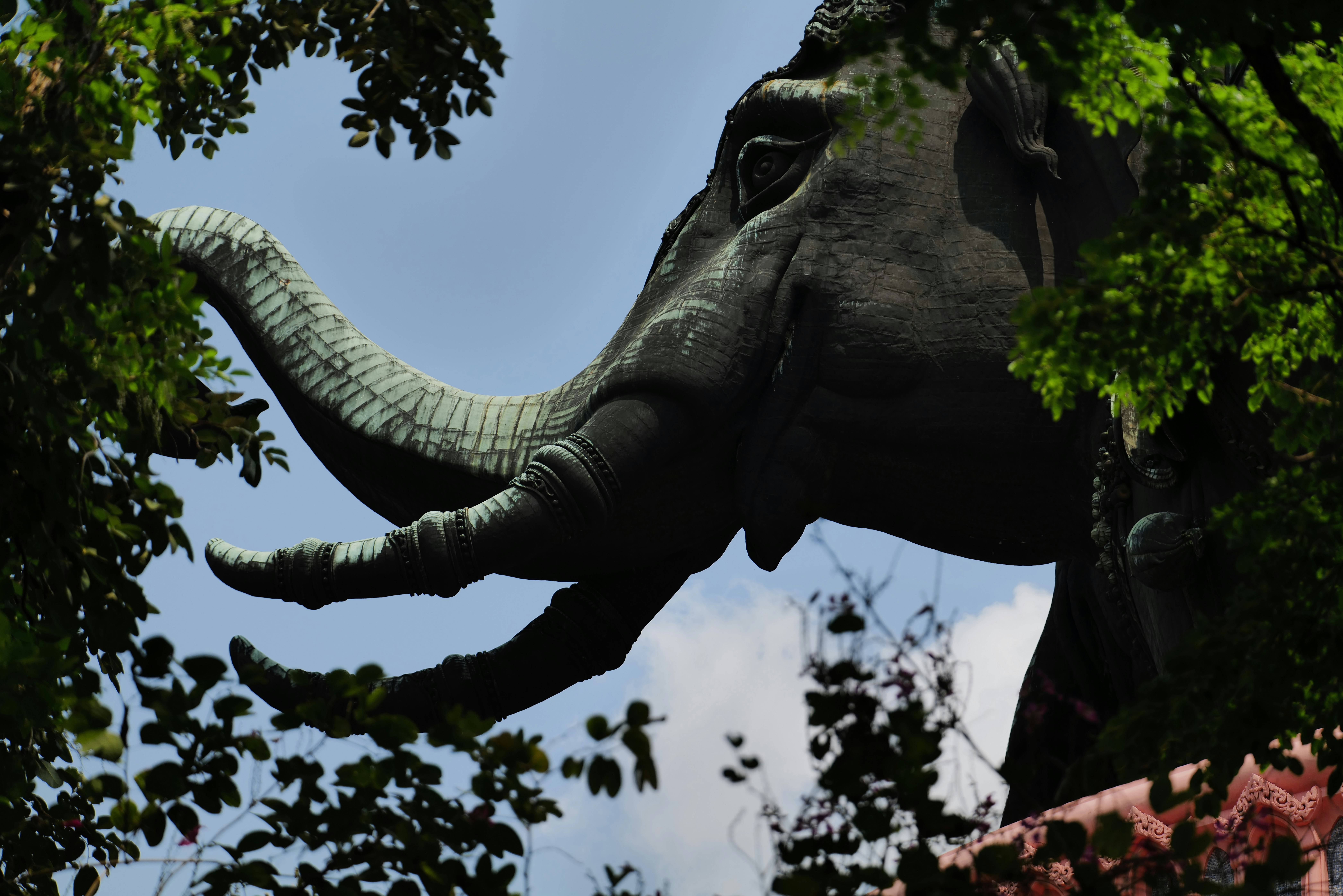 Majestic Trunk: A Silent Guardian
