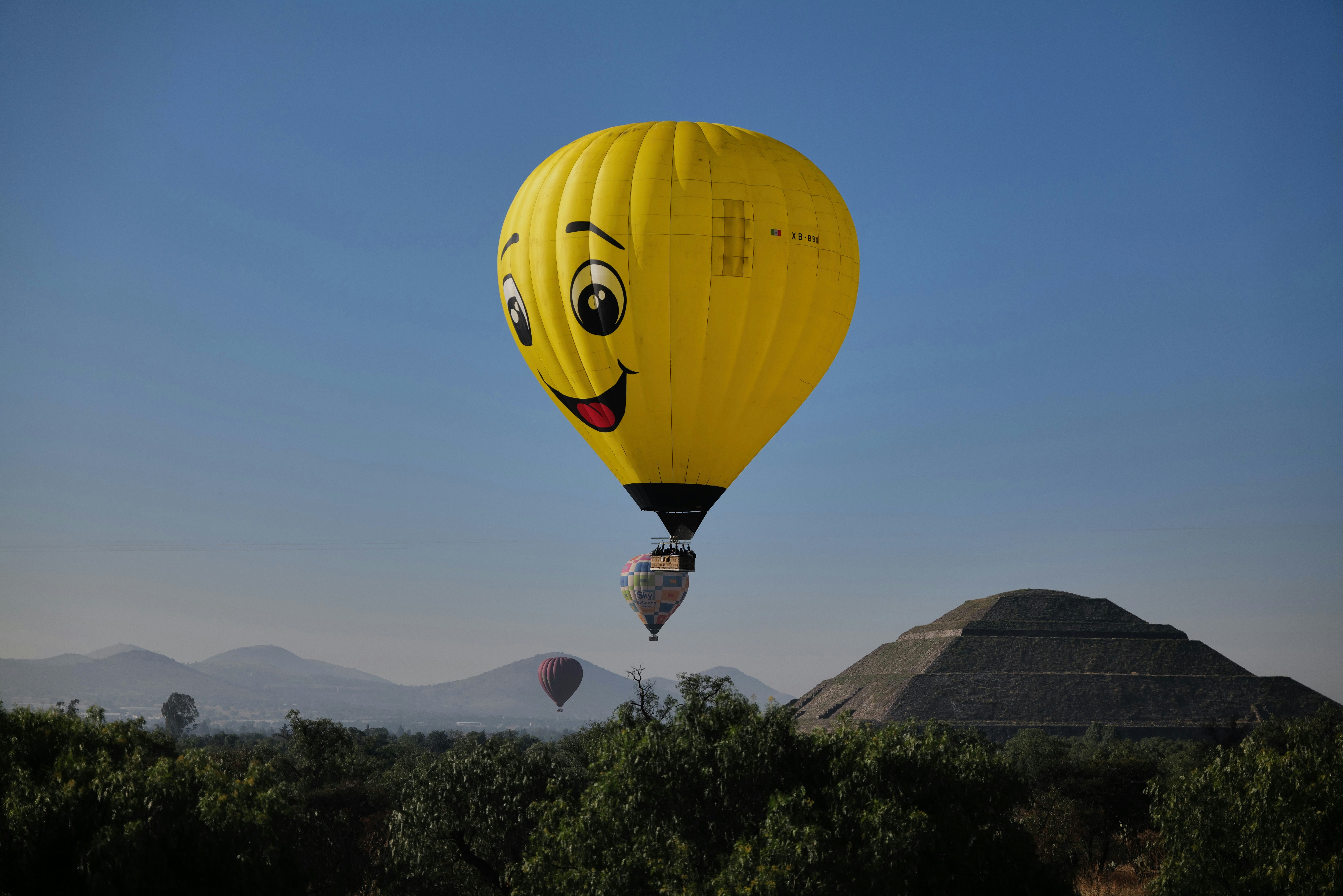 Joyful Ascent: The Smiling Balloon