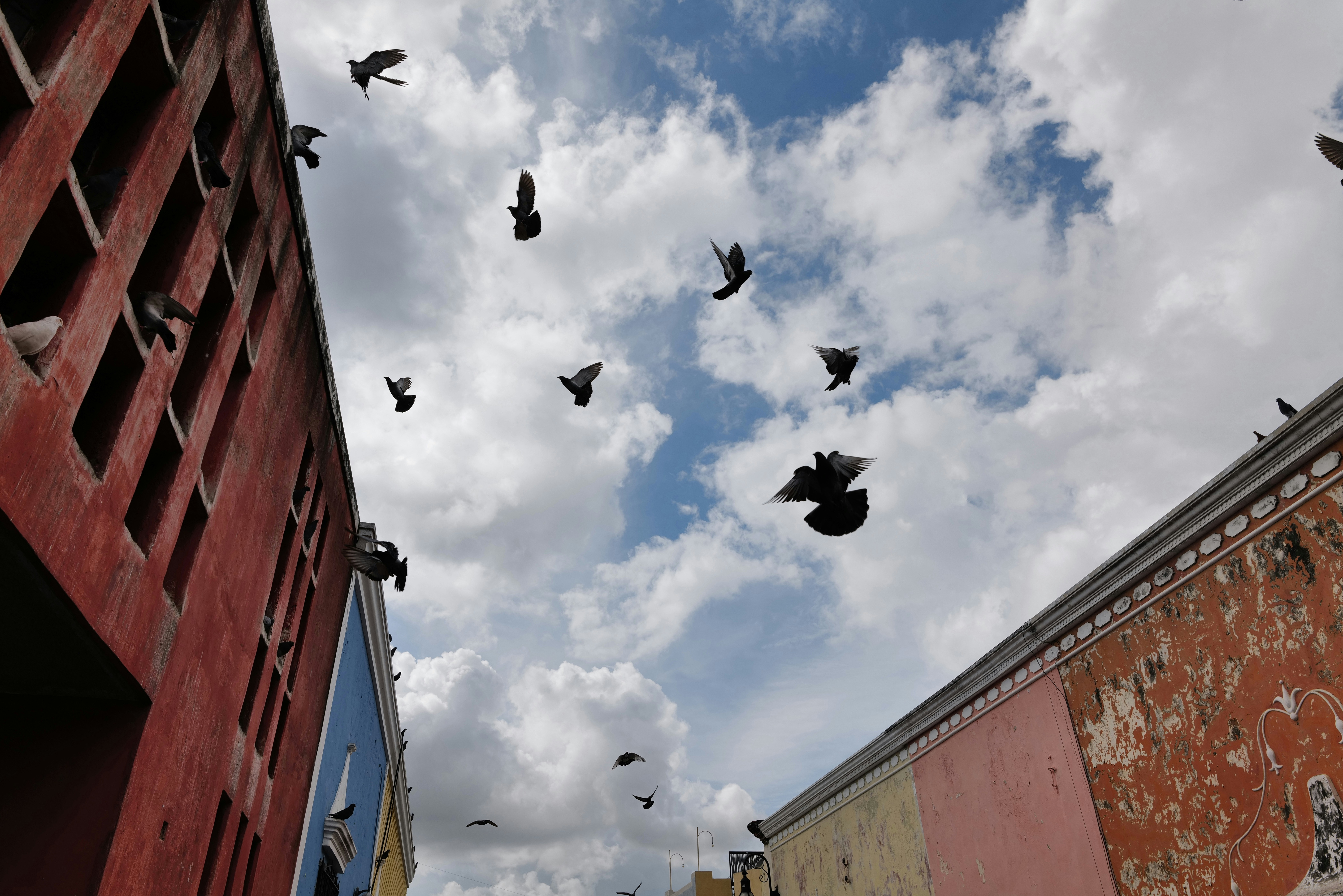 Aerial Chorus Over a Colorful Urban Canyon