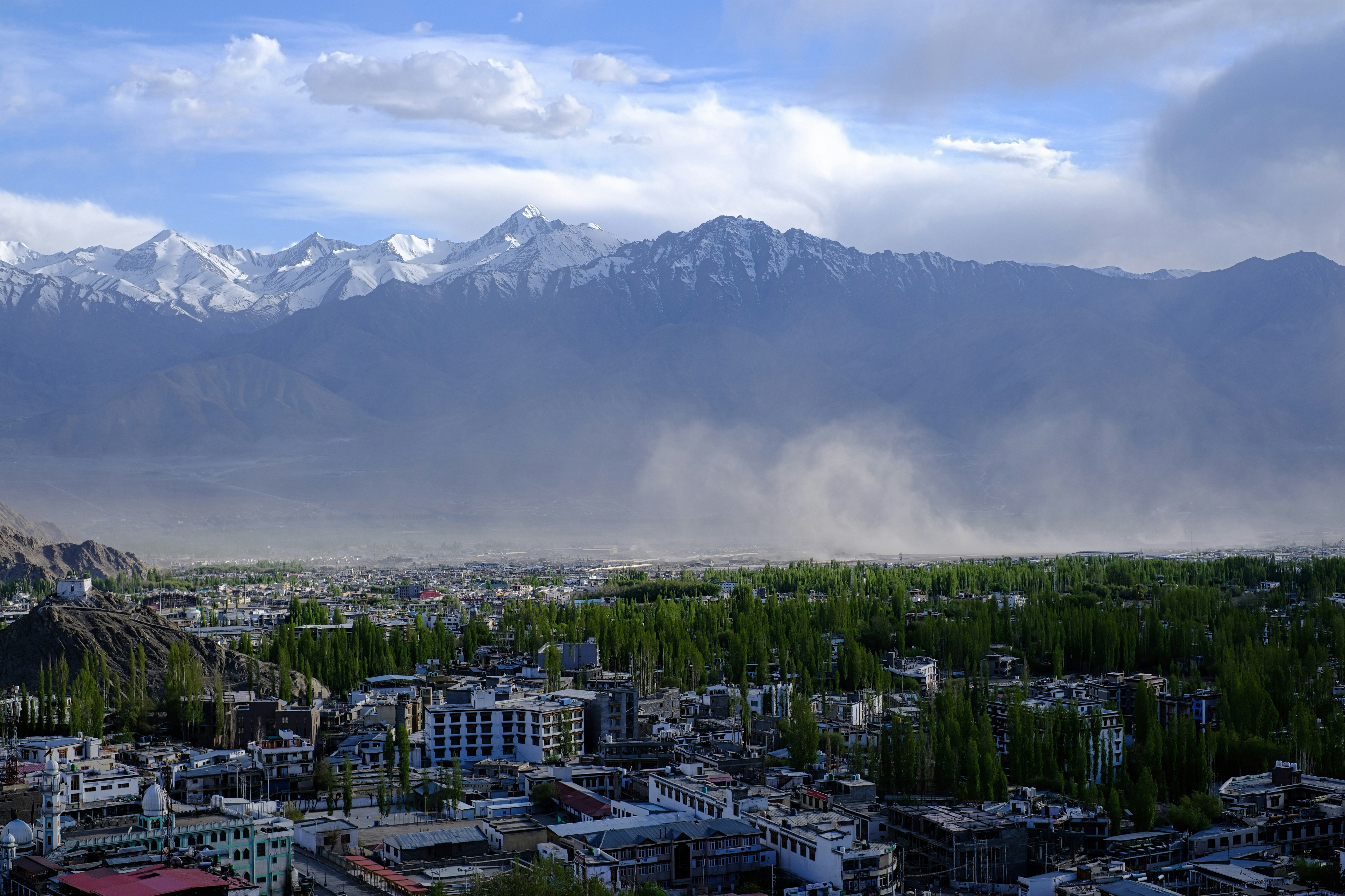 Whispers of the Himalayas: A Serene Urban Oasis
